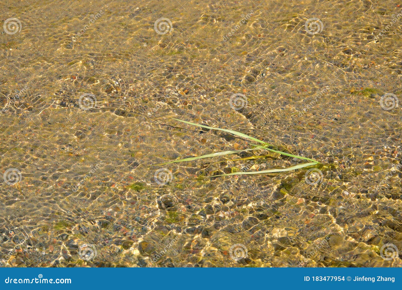 Limpid stream stock photo. Image of ravine, flow, water - 183477954