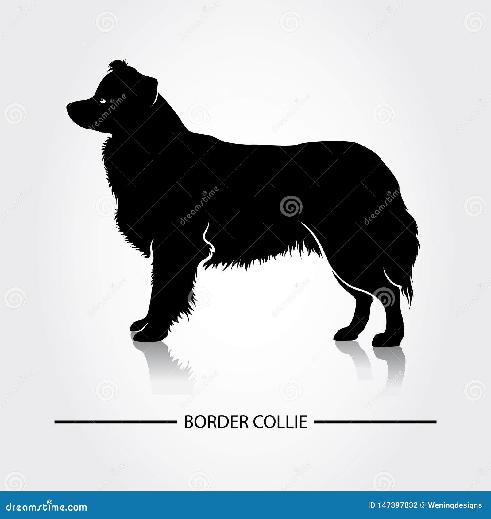 Border Collie Vector Illustration Stock Vector - Illustration of ...