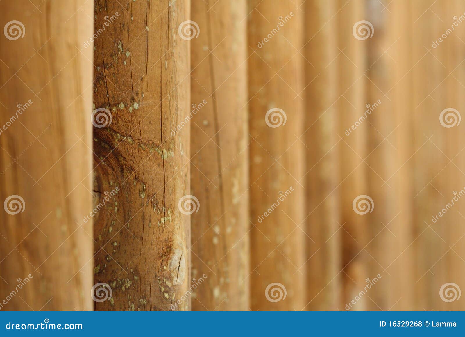 Background of logs stock photo. Image of bark, color - 16329268