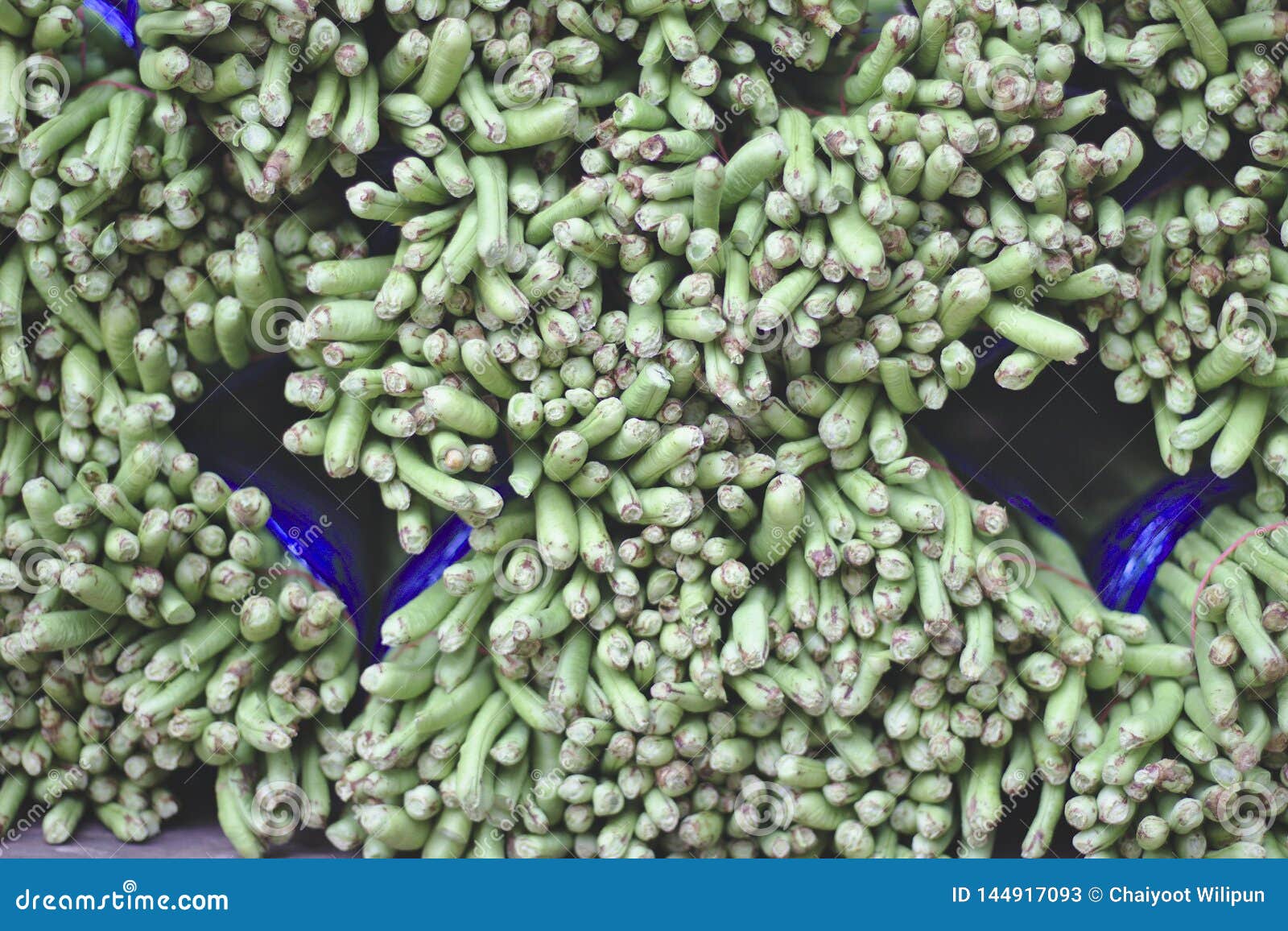 Background of Long Bean Sprouts Harvested and Bound Together Saw the ...