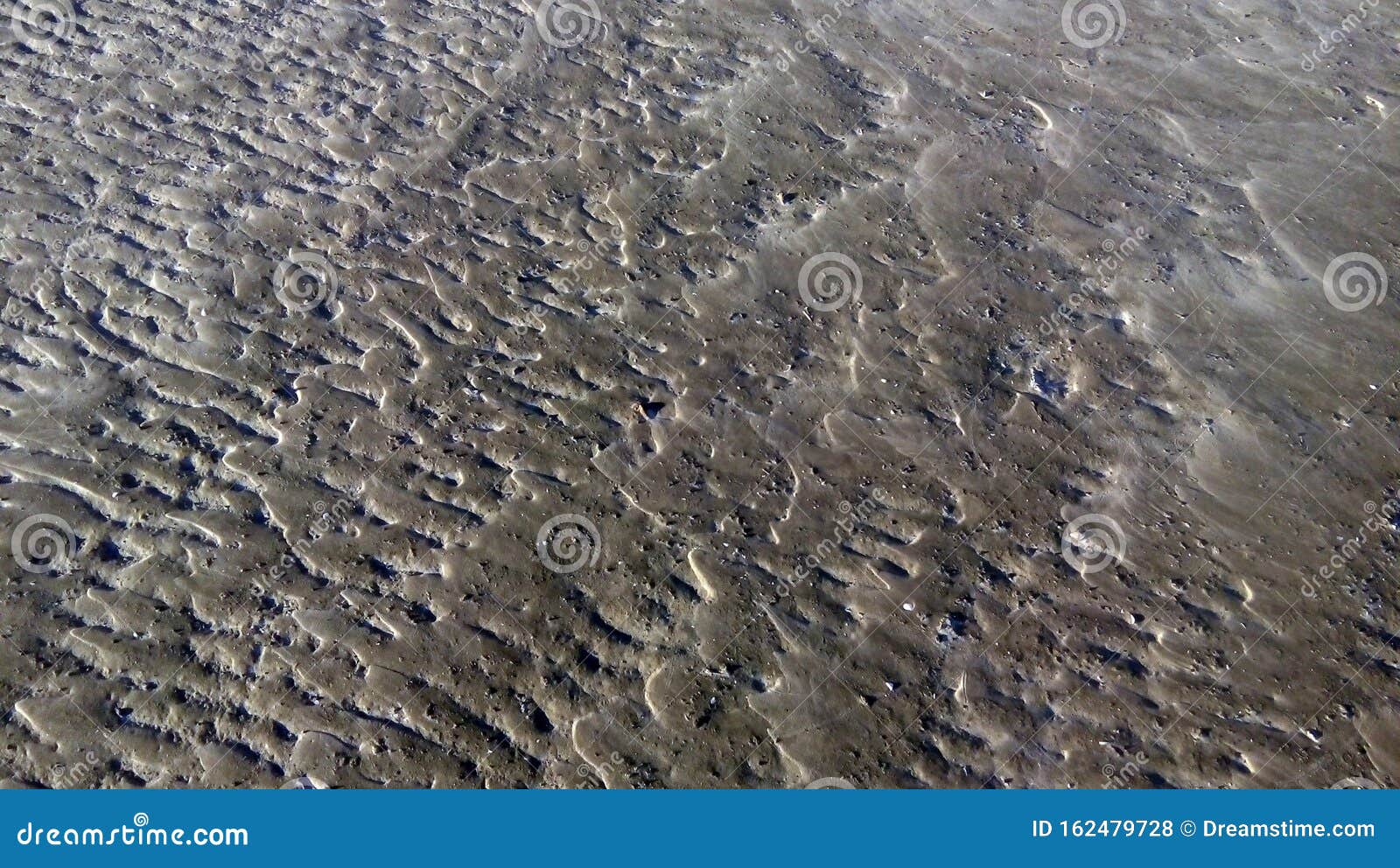 Low tide spring beach dark stock photo. Image of dark - 162479728