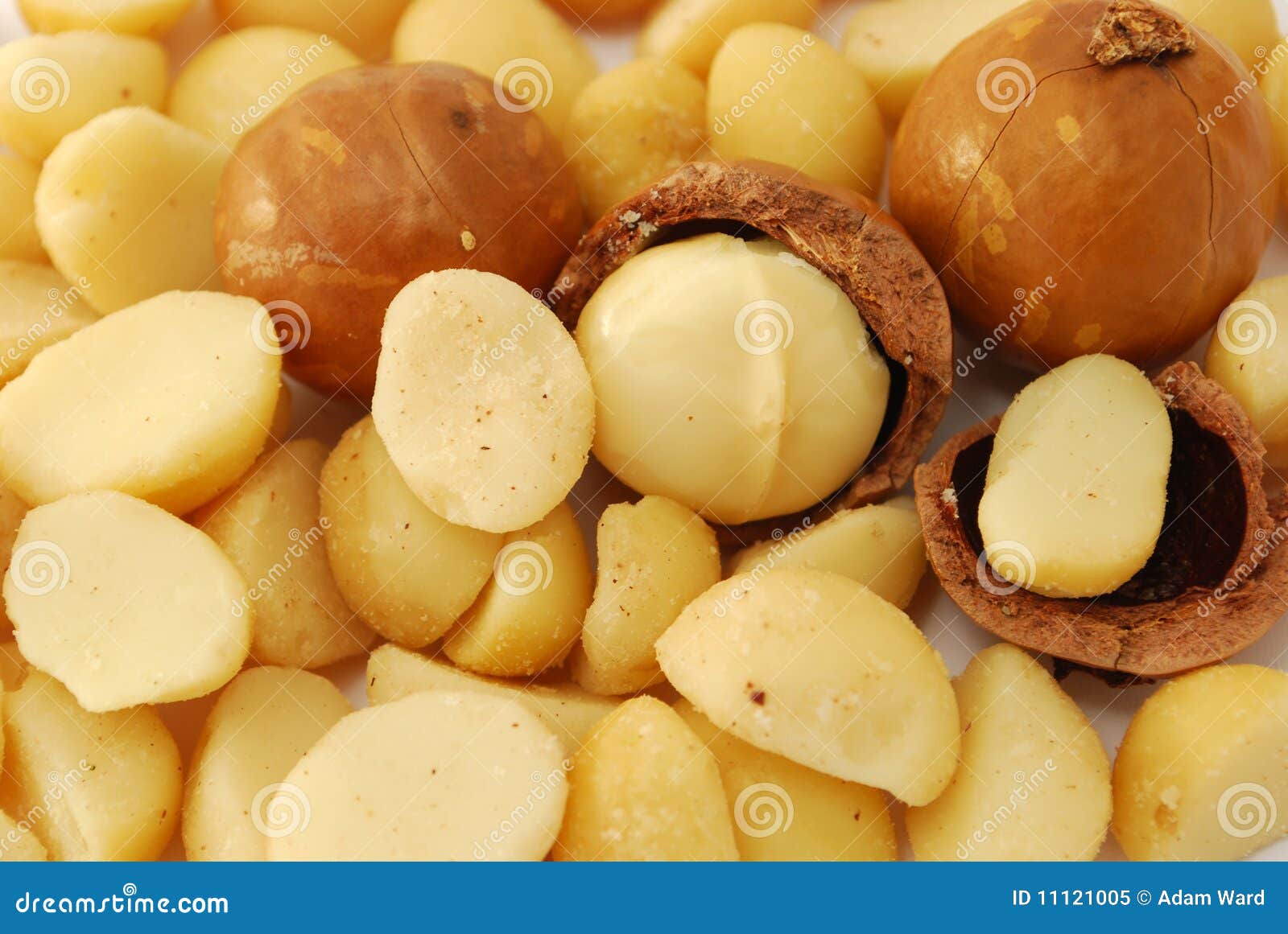 Background of Macadamia Nuts Stock Image - Image of shelled, cracked ...