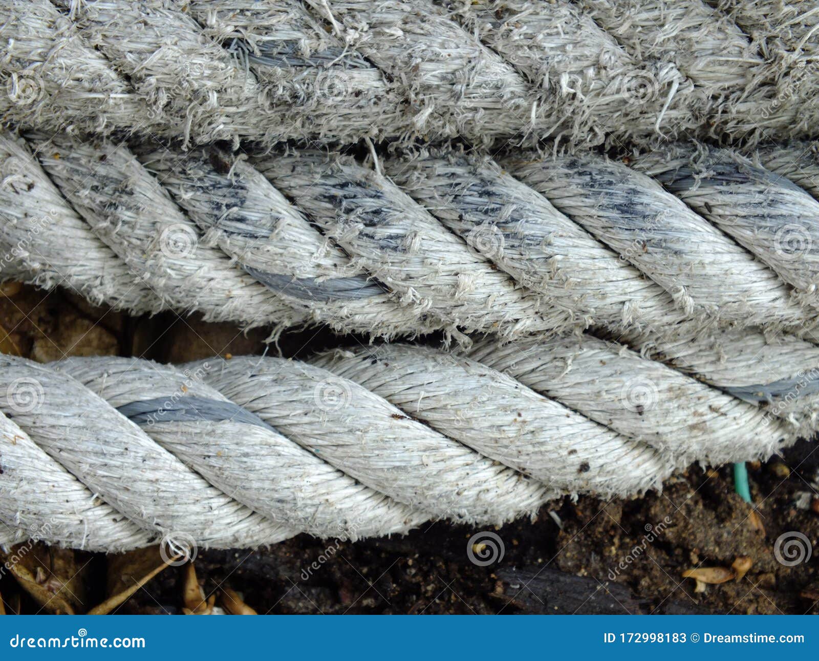 Background Macro Image of Light Gray Marine Rope Knotted Stock Image ...