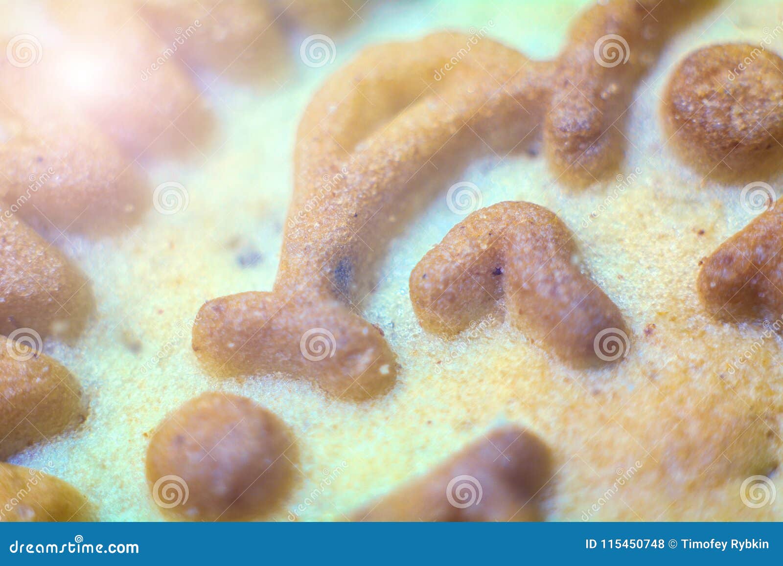 Background Macro Texture of Bumps and Hollows of Different Shape Stock ...