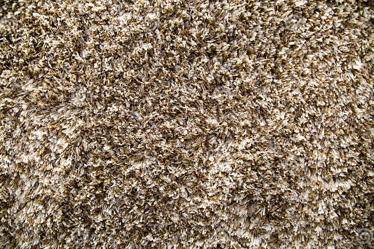 The Background is Made of Brown and White Carpet with Beautiful Large ...