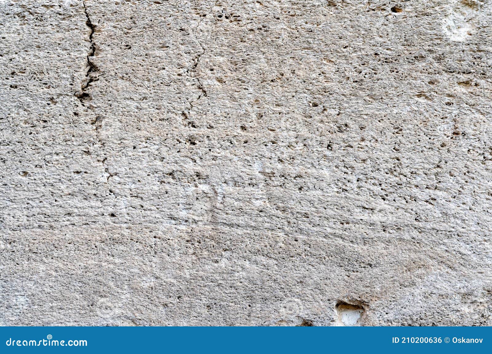 Background Made of Close Up Shellstone Abstract White Texture Stock ...