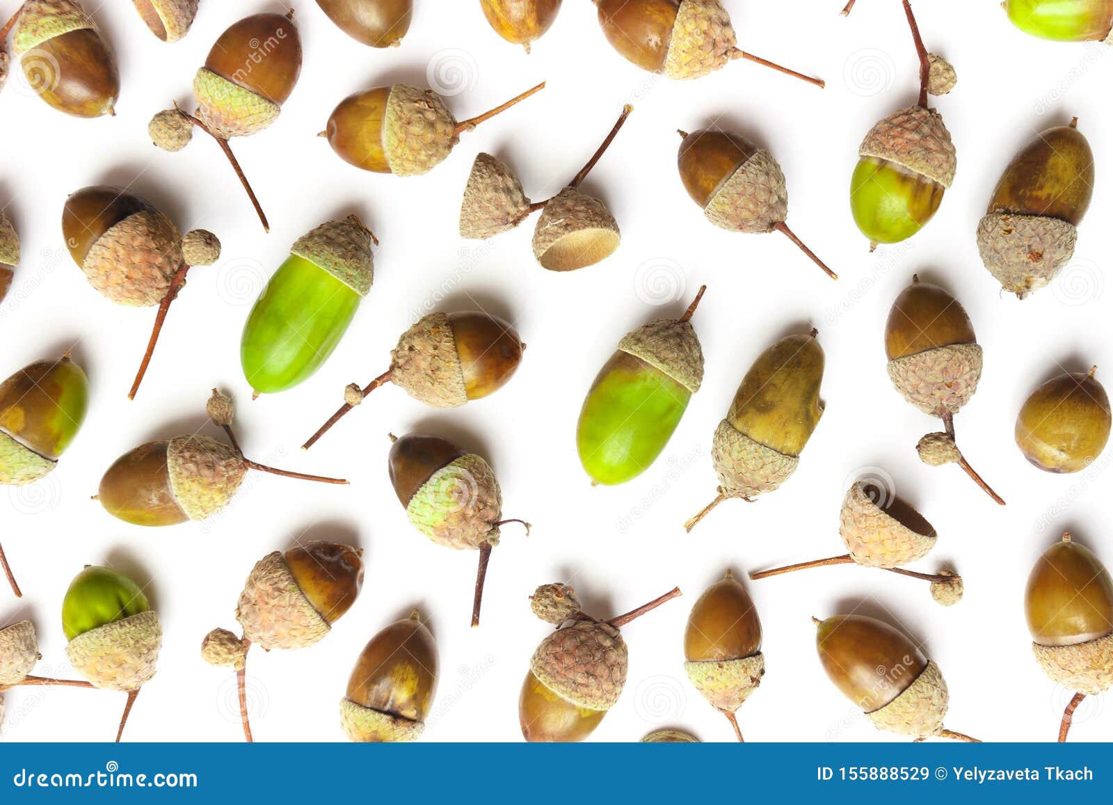 Background Made from Different Acorns, White Background Stock Image ...