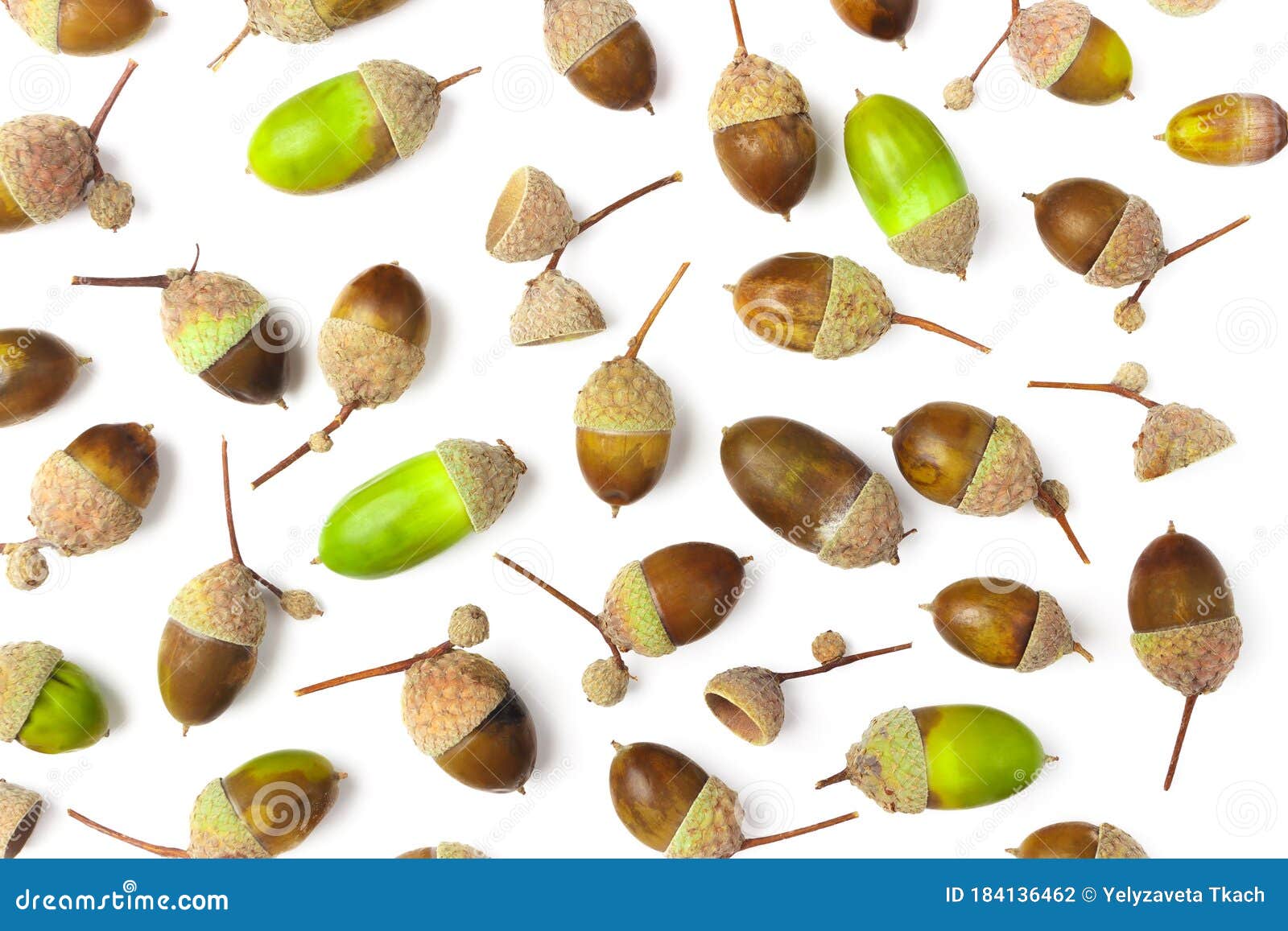 Background Made from Different Acorns, White Background Stock Photo ...