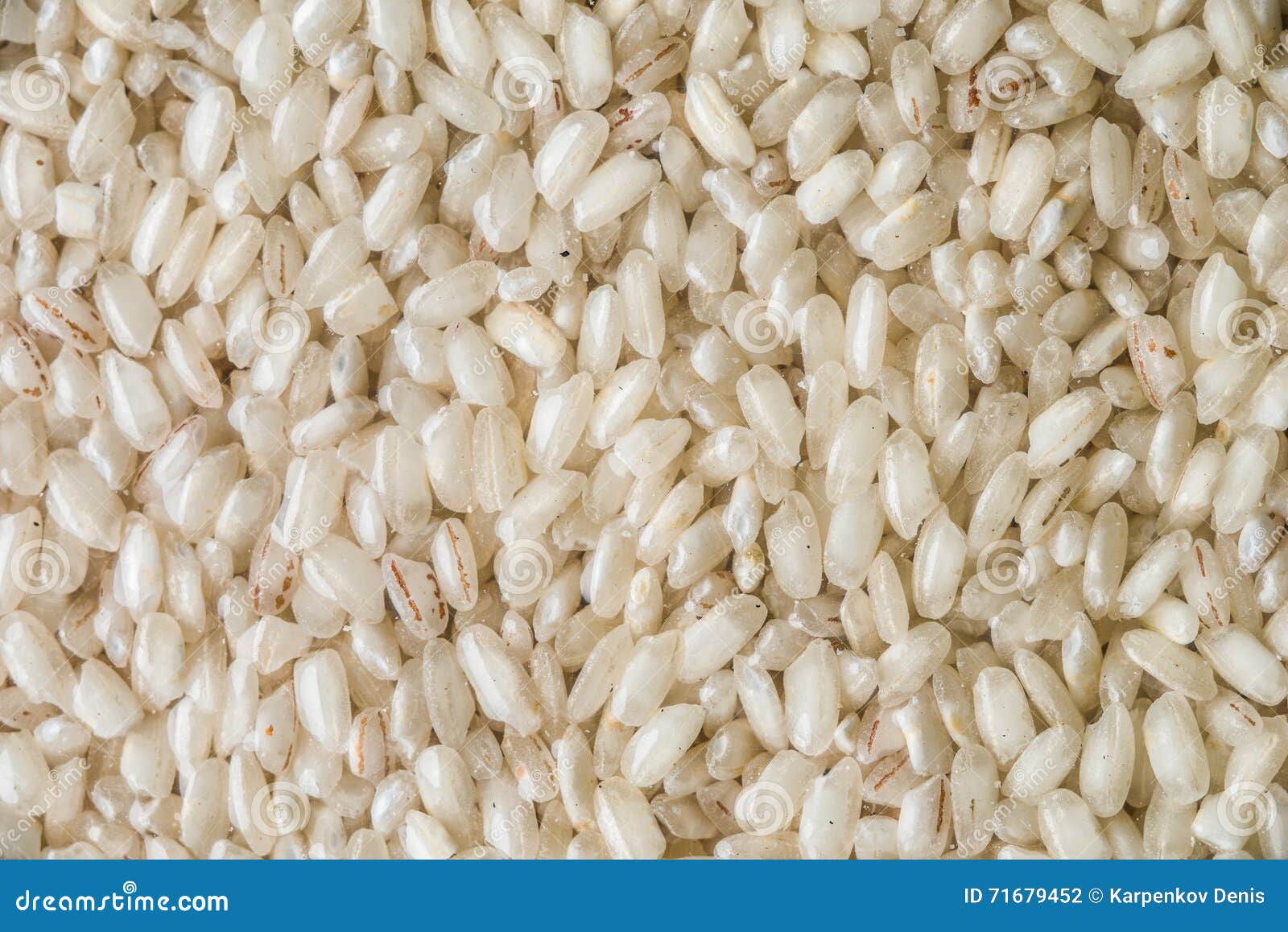 Background of Major Rice Varieties Arborio Stock Photo - Image of rice ...