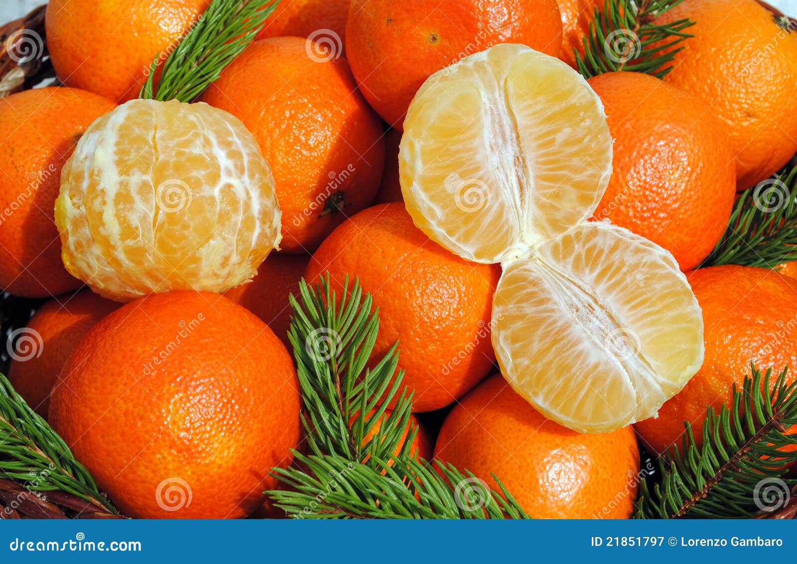 Background of Mandarin with Pine Needles Stock Image - Image of ...