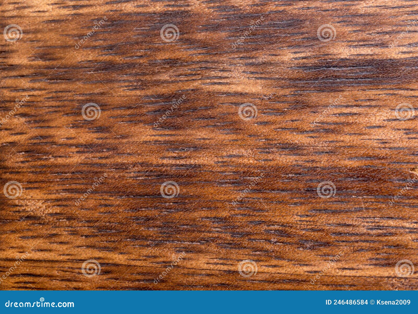 Background of Mango Wood Texture Closeup Stock Photo - Image of board ...