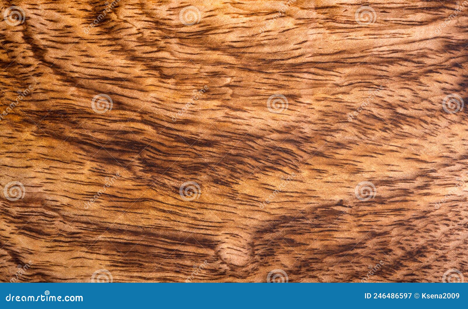 Background of Mango Wood Texture Closeup Stock Image - Image of nature ...