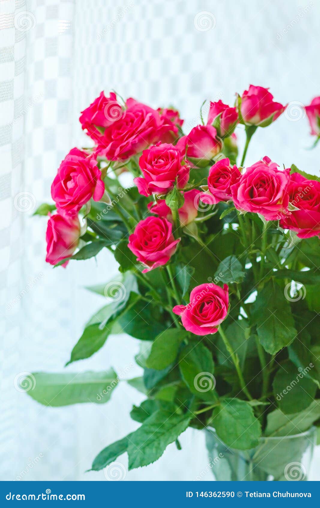 Background of the Many Delicate Little Pink Roses Stock Photo - Image ...