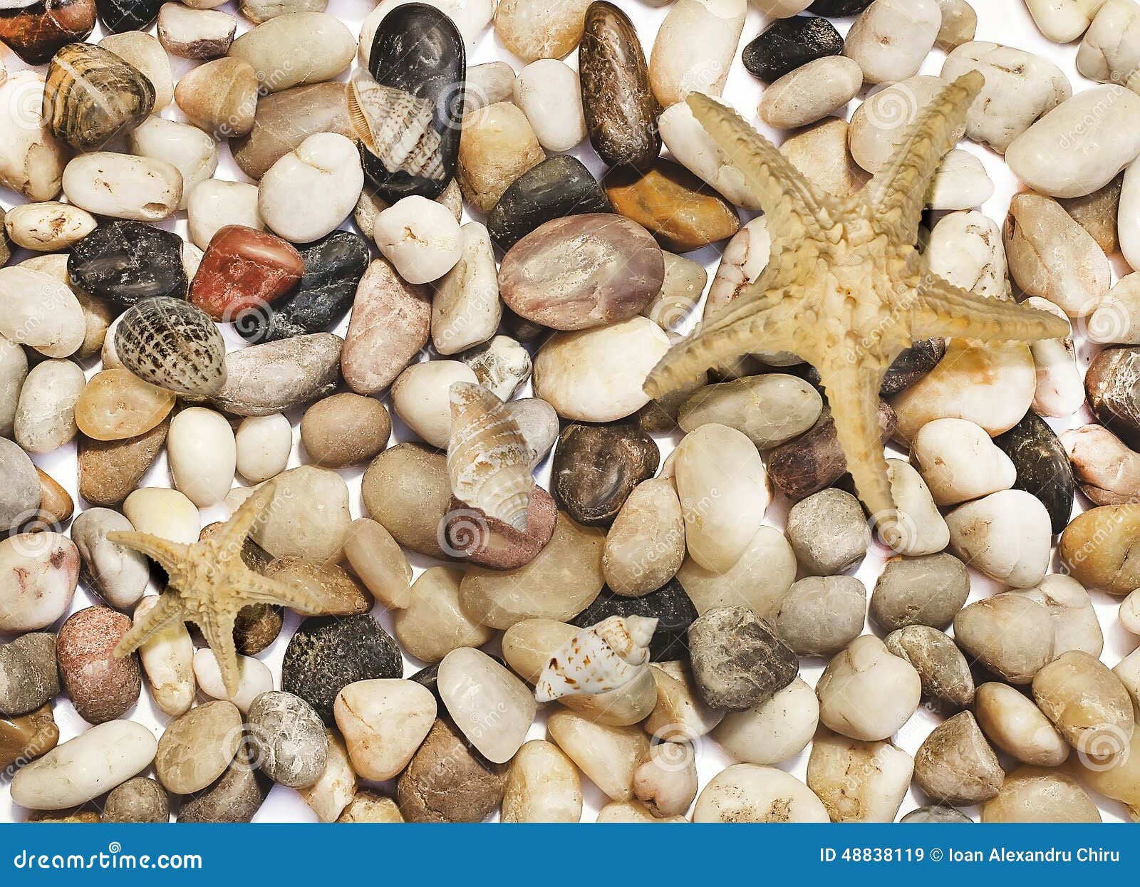 Background with Many Different Colored Stones, Starfish and Shells ...