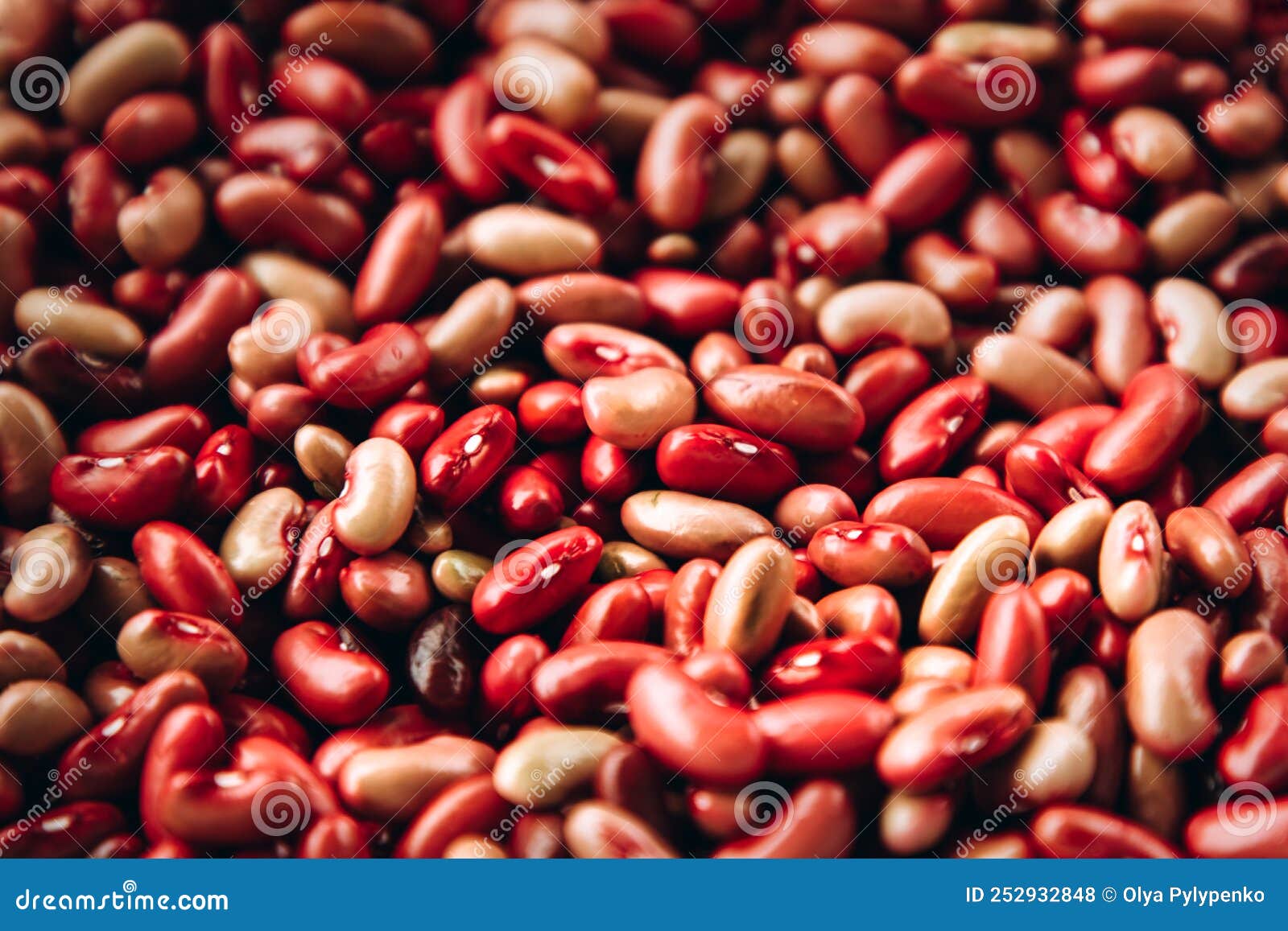 Background from Many Pink-red Beans. Bean Texture, Selective Focus ...