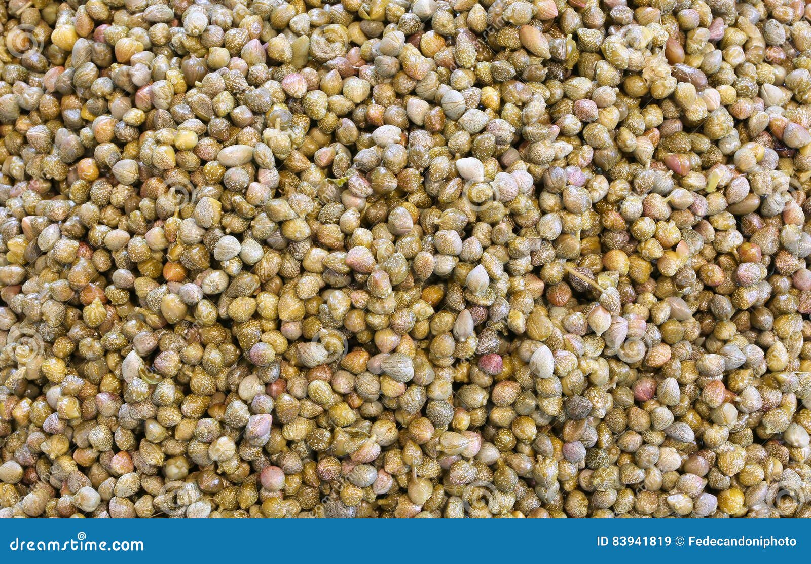Background of Many Small Green Capers Stock Image - Image of harvest ...