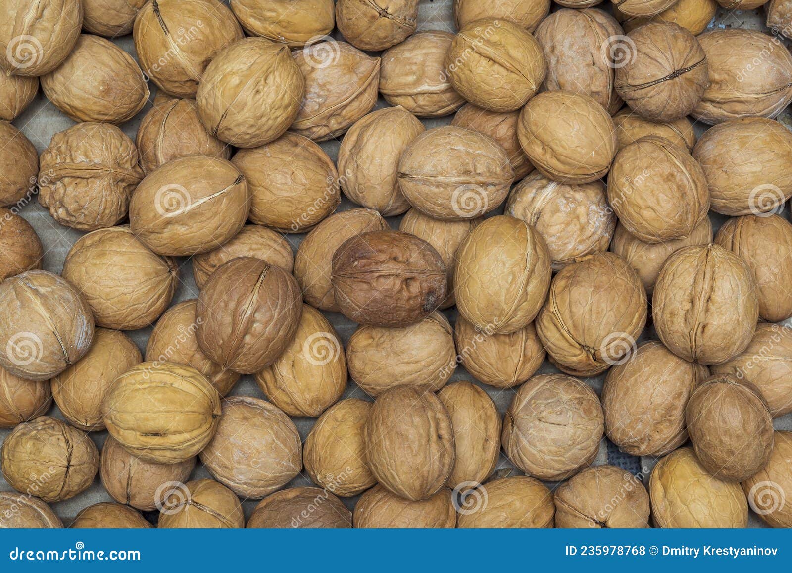 Texture of nuts stock photo. Image of pile, natural - 235978768