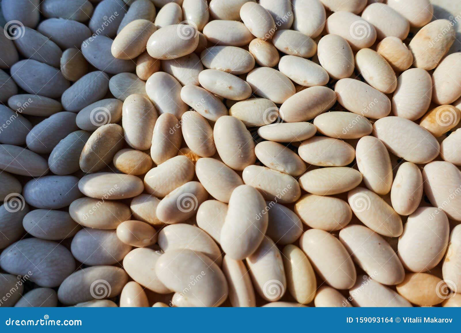 Background of Many White Beans in Natural Light Stock Photo - Image of ...