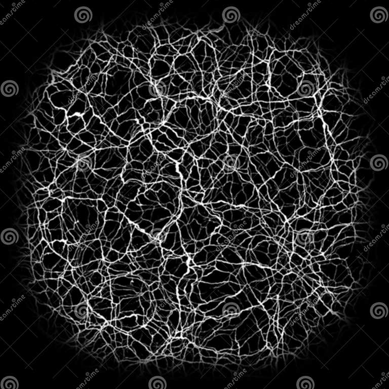 Background Map of the Root Shape Stock Illustration - Illustration of ...