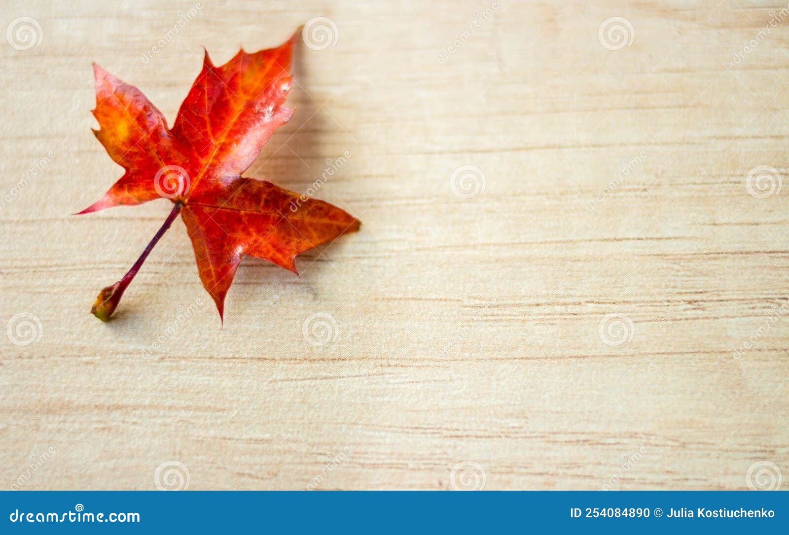 The Background of Maple Leave with Space for Text on a Wooden ...