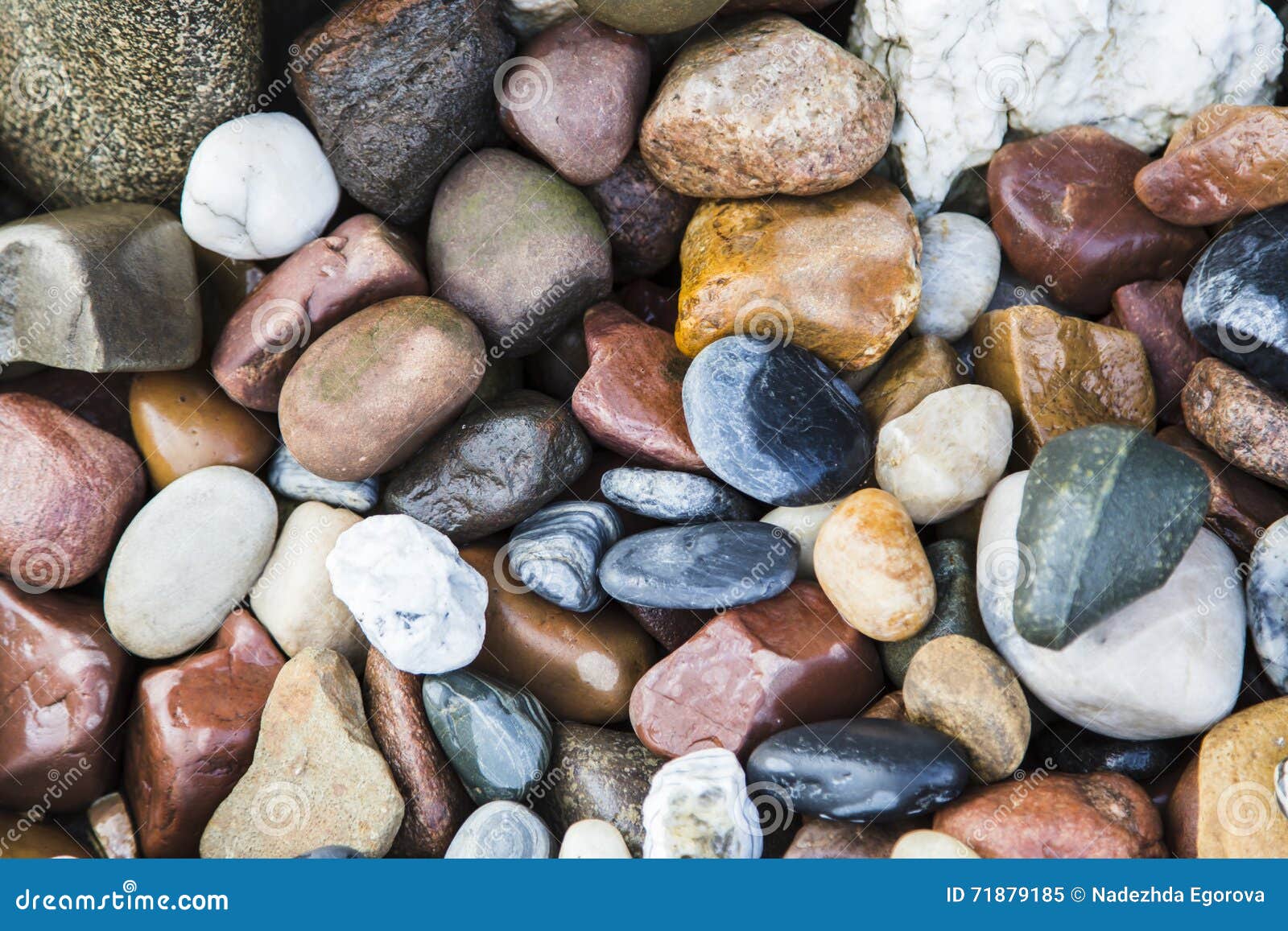 Background of Marine Pebbles Stock Image - Image of macro, nature: 71879185