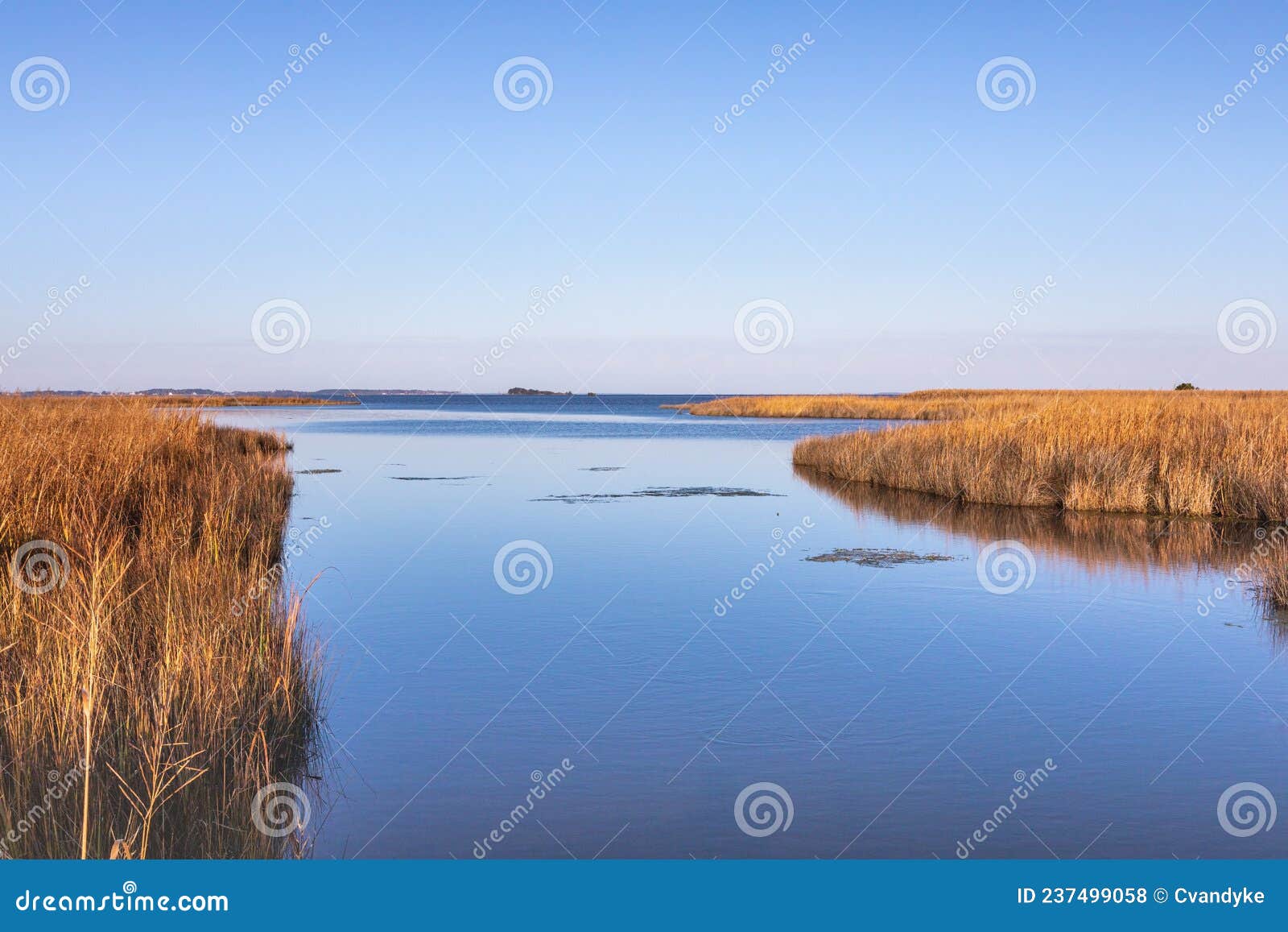 Background of Marsh, Grasses, Ecosystem on Outer Banks NC Stock Photo ...