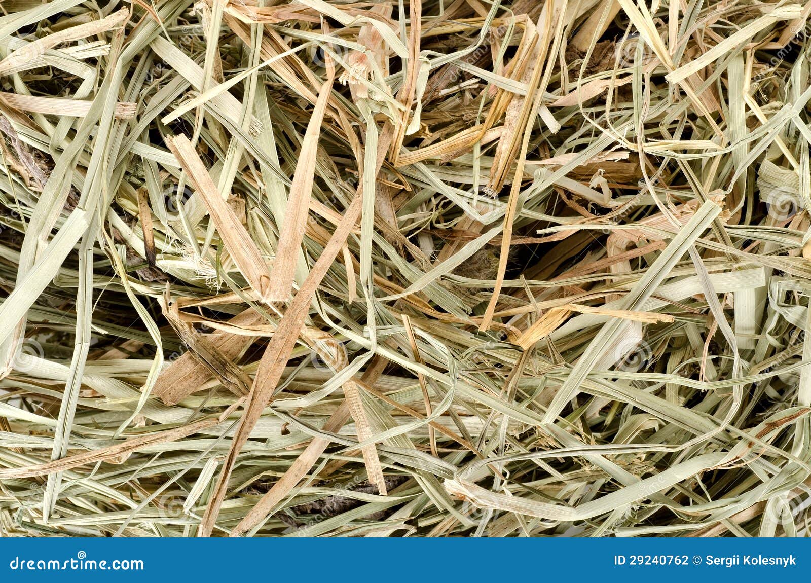 Background of meadow hay stock photo. Image of harvesting - 29240762