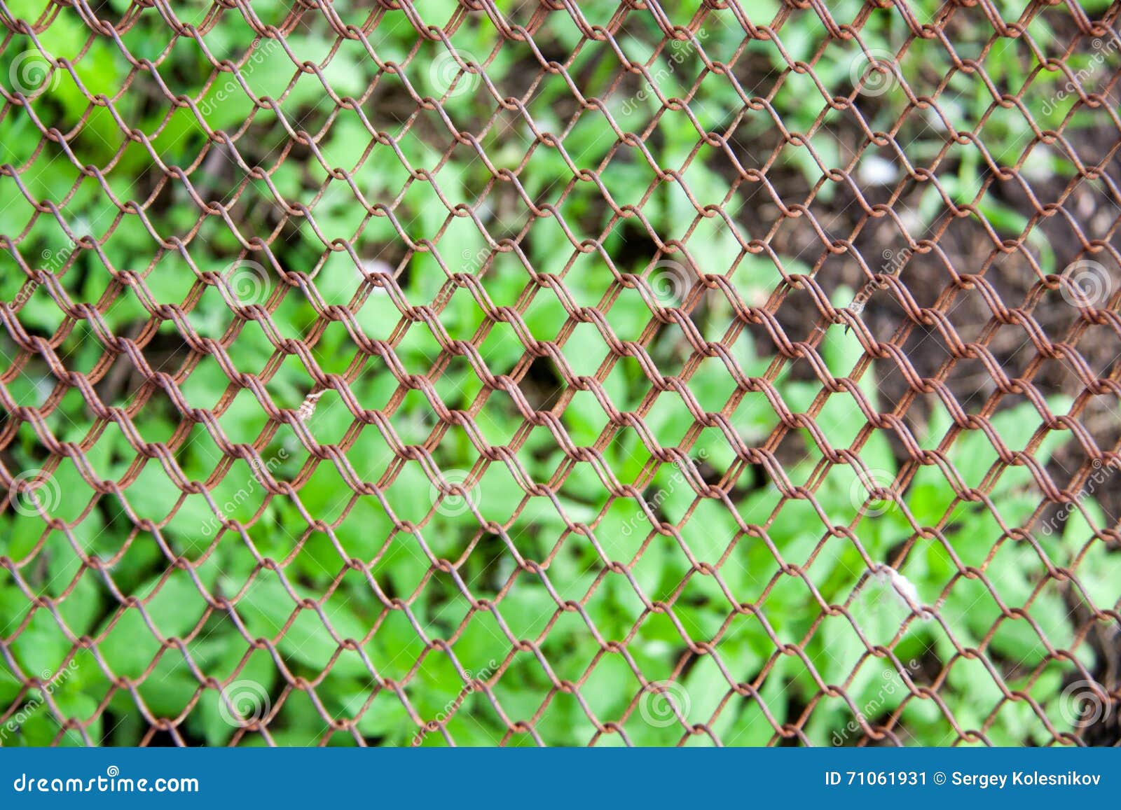 Background of the Metal Wire Mesh Fence Stock Image - Image of grid ...