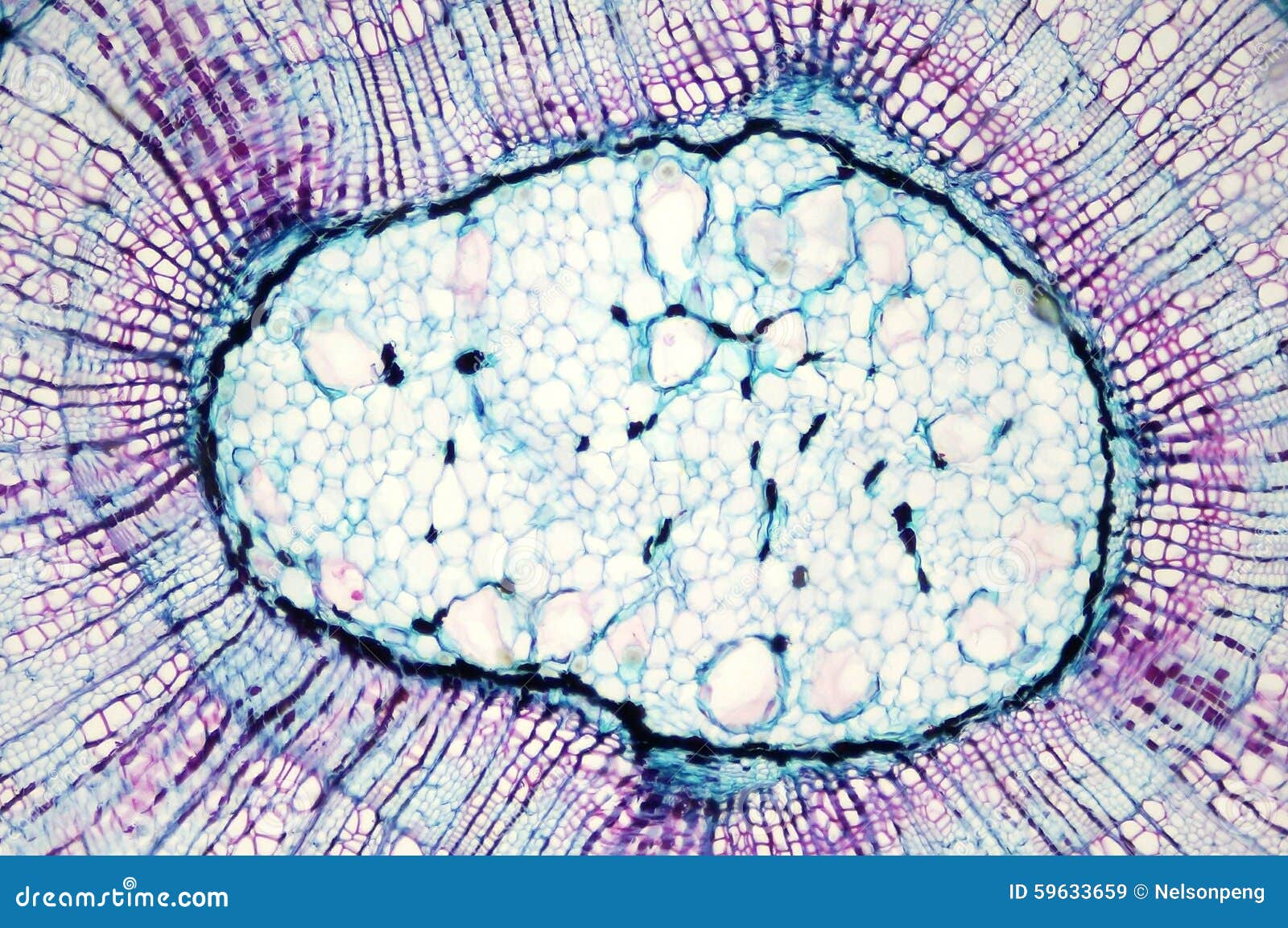 Micro Photography Of Sand Grains Royalty-Free Stock Image ...