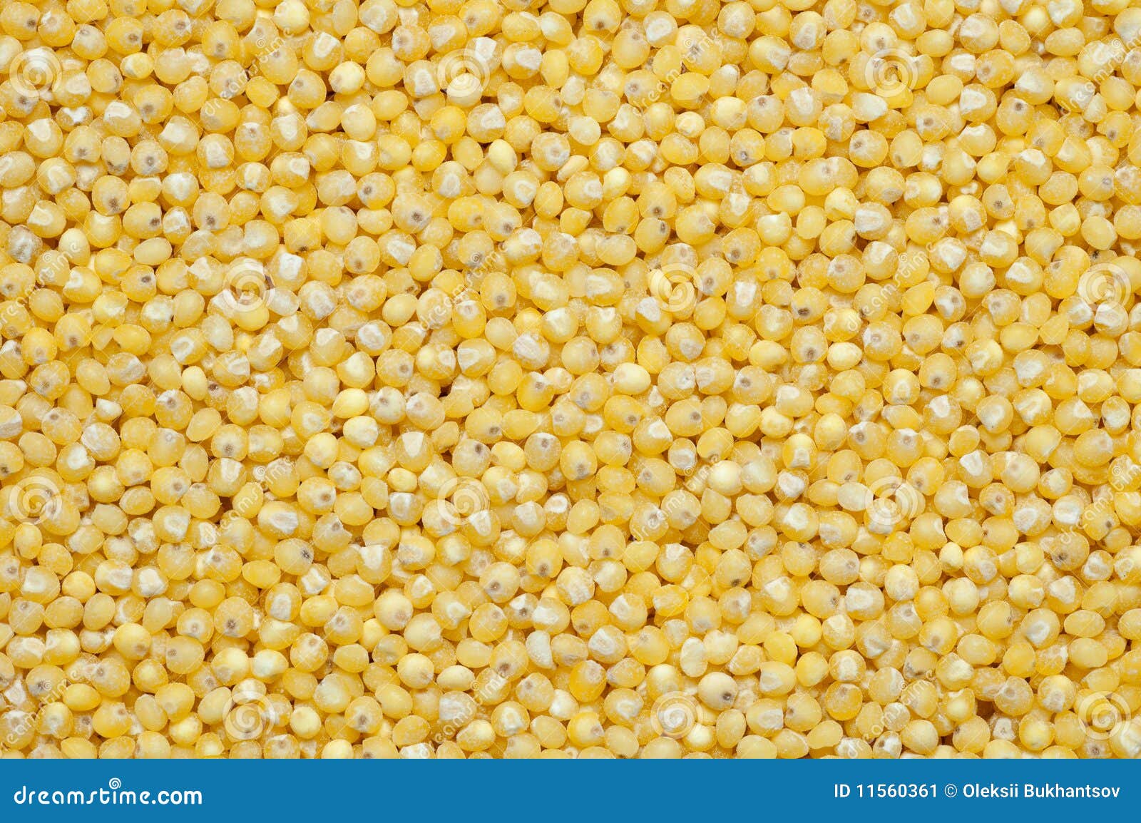 Background of millet stock image. Image of yellow, abstract - 11560361