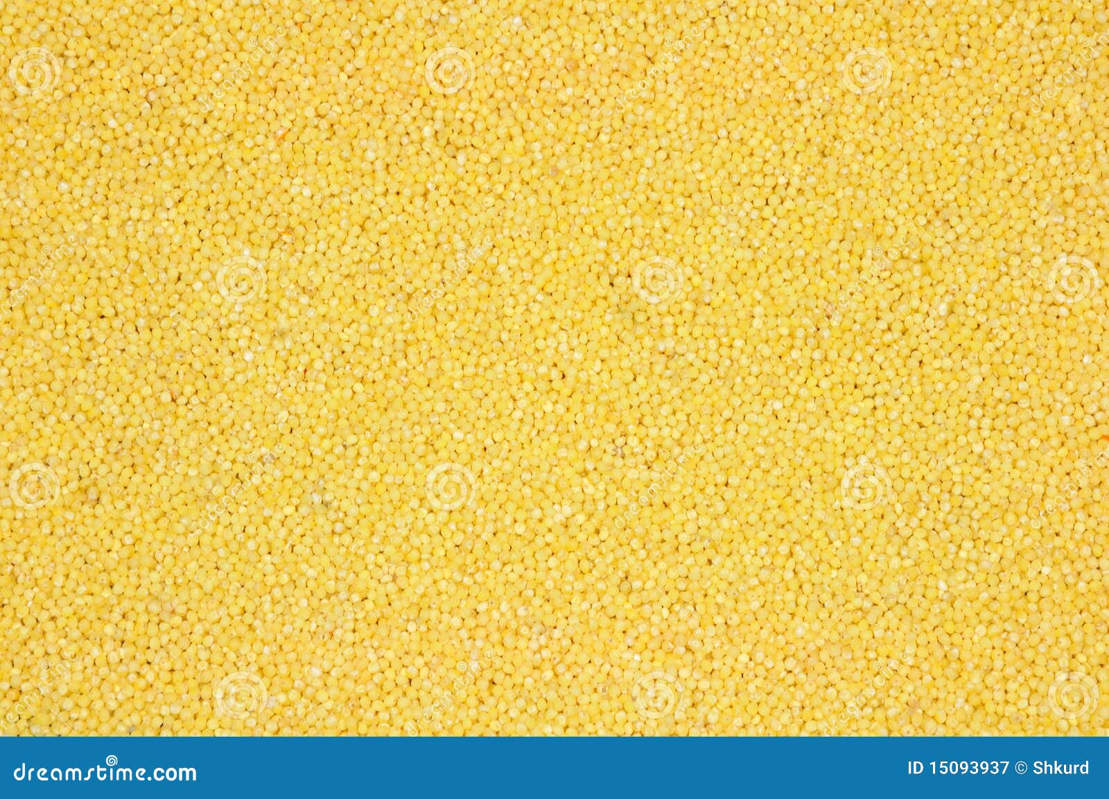 Background of millet stock image. Image of vegeterian - 15093937