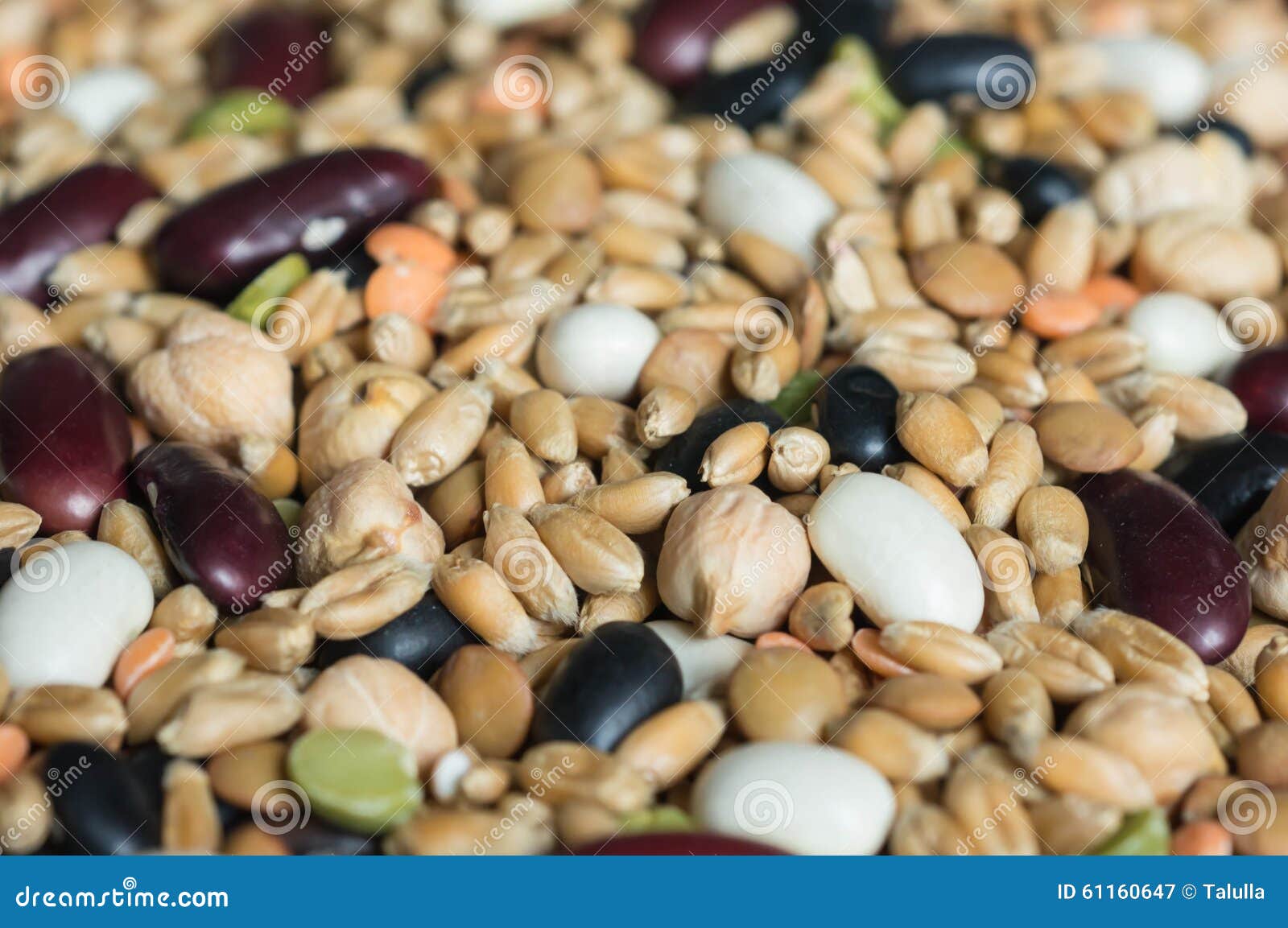 Background from Mixtures of Different Grains Stock Image - Image of ...