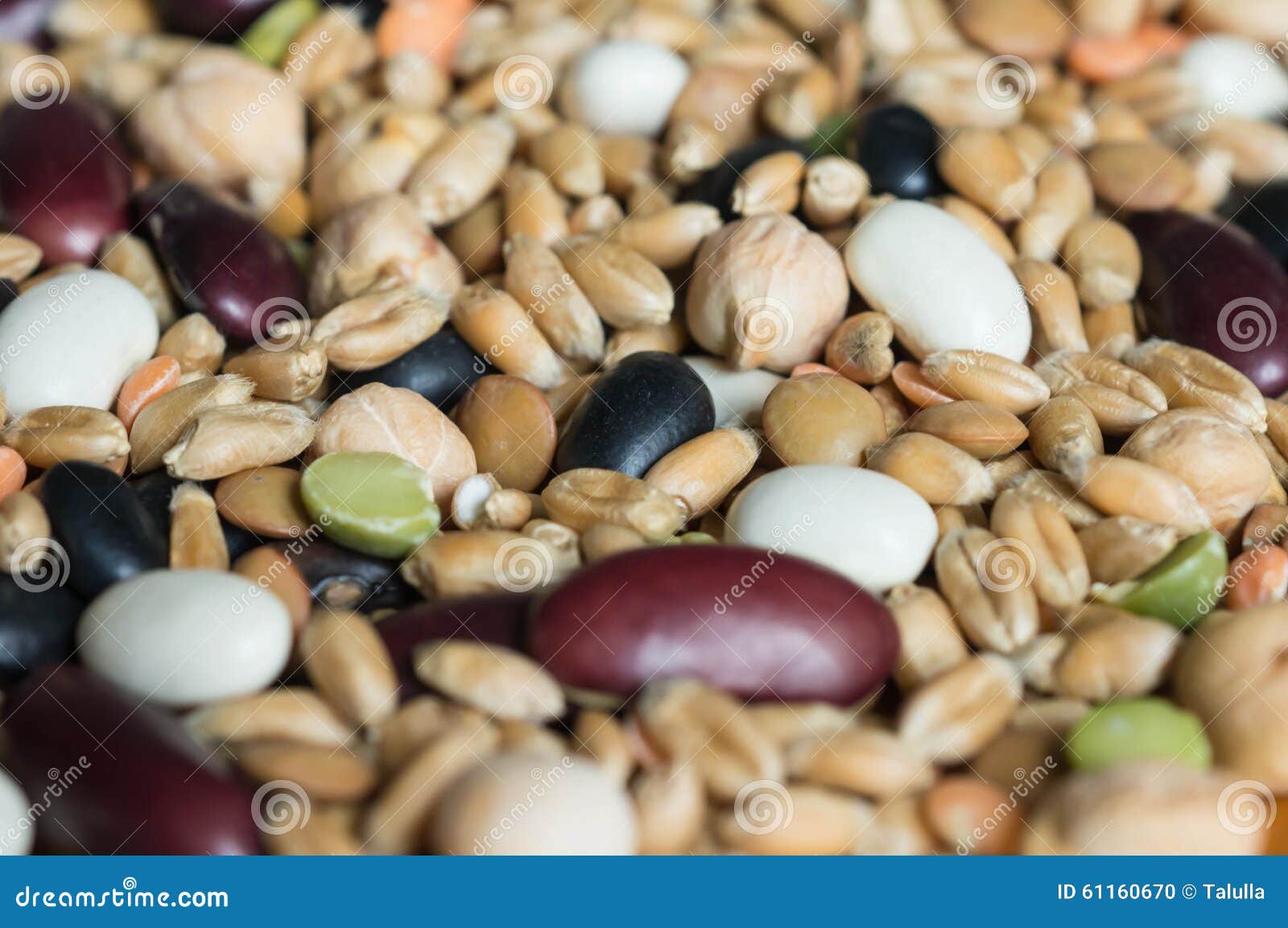 Background from Mixtures of Different Grains Stock Photo - Image of ...