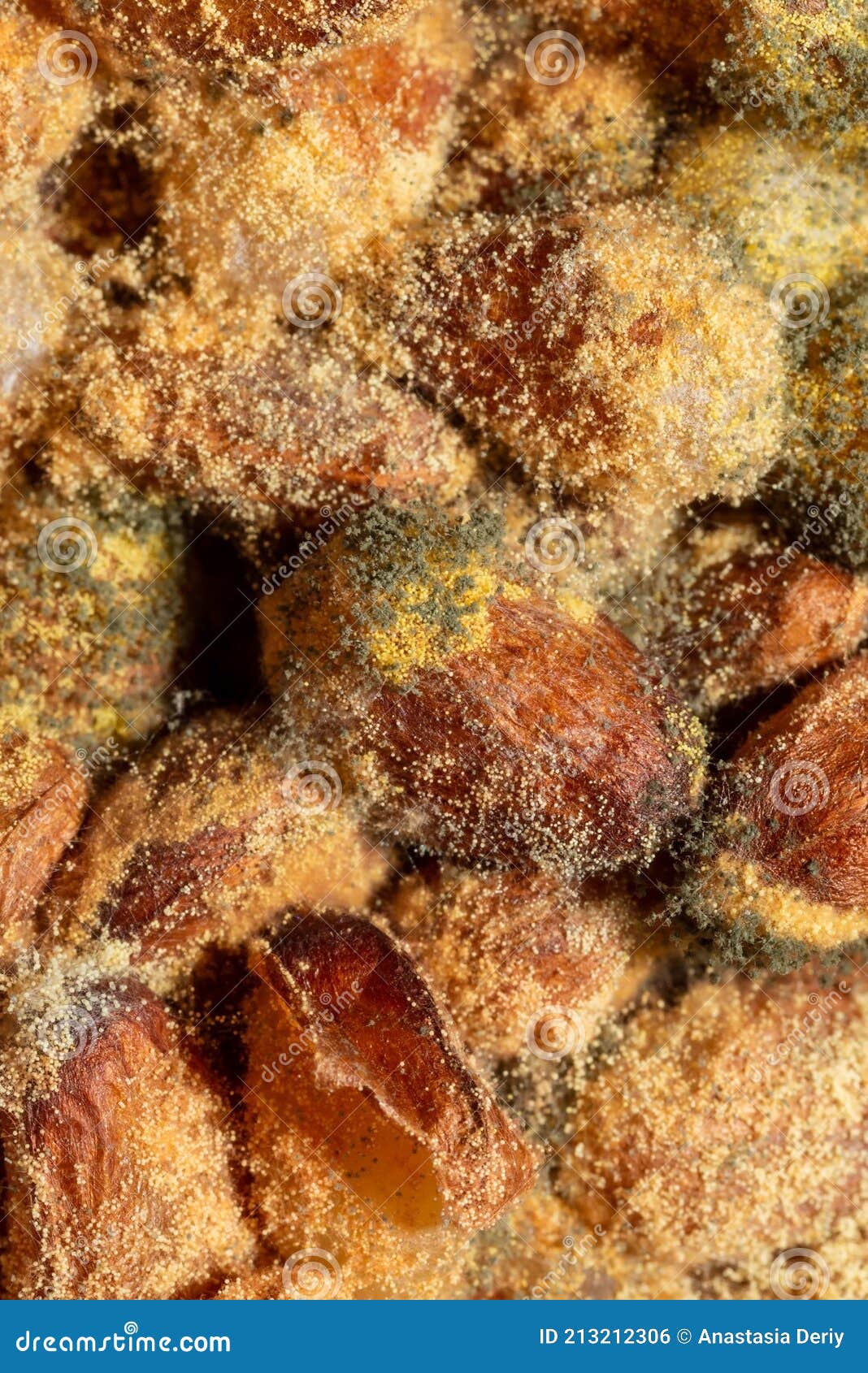 Plant Spores Under The Microscope Royalty-Free Stock Image ...