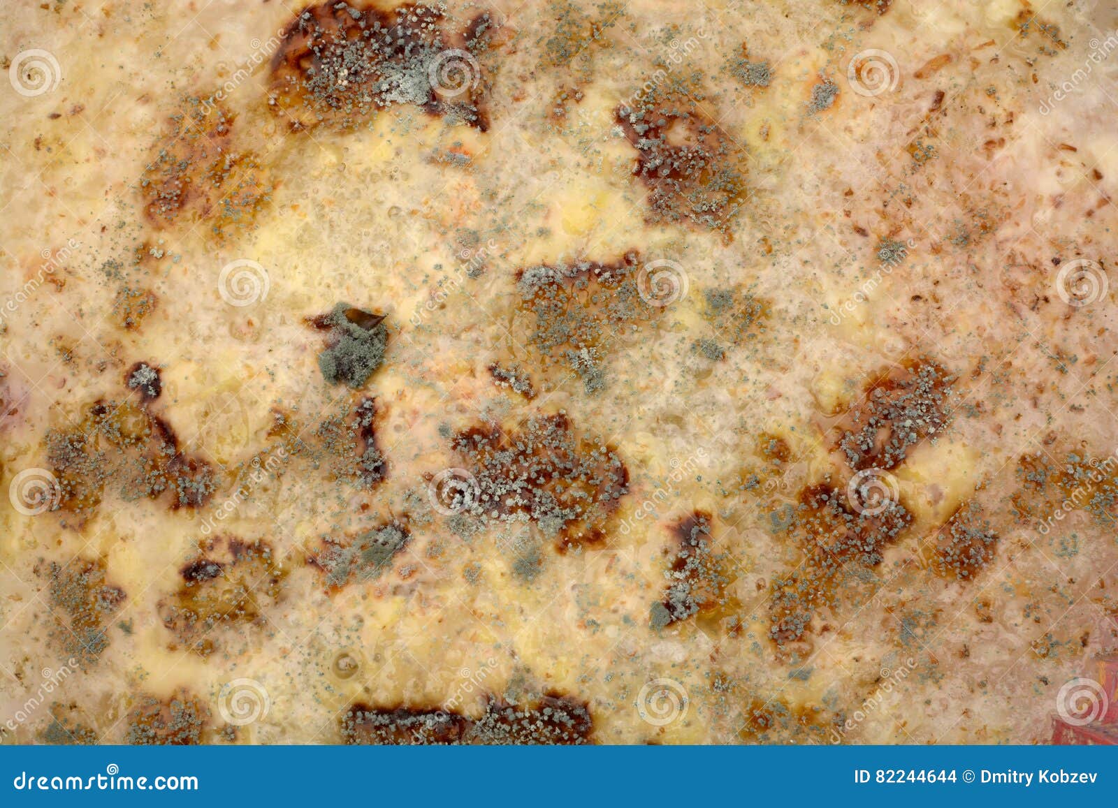 Background Mold on the Spoiled Food. Stock Photo - Image of natural ...