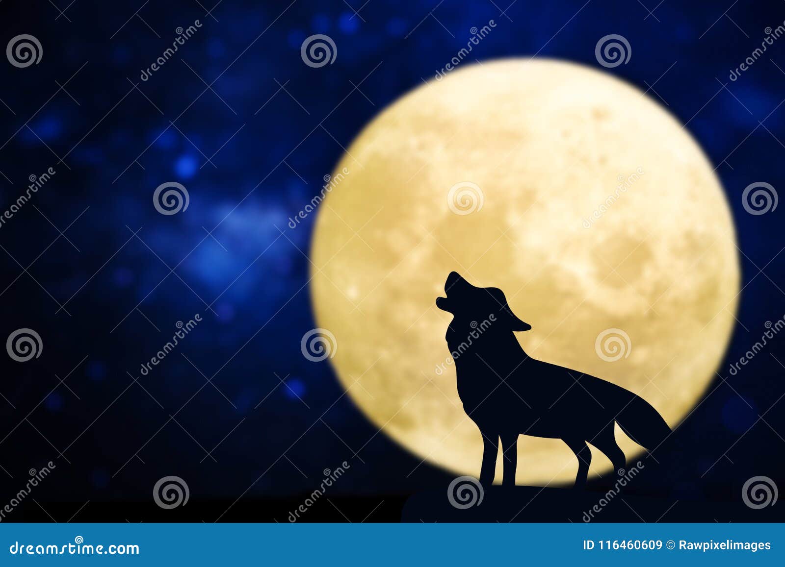 Background of a Moon with the Shadow of Wolf Stock Image - Image of ...