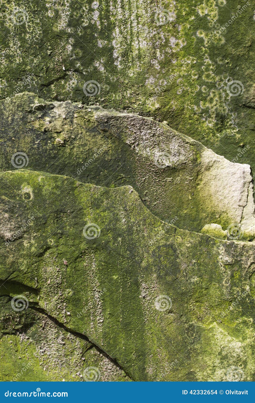 Background Mossy Limestone Rock Stock Photo - Image of mineral ...