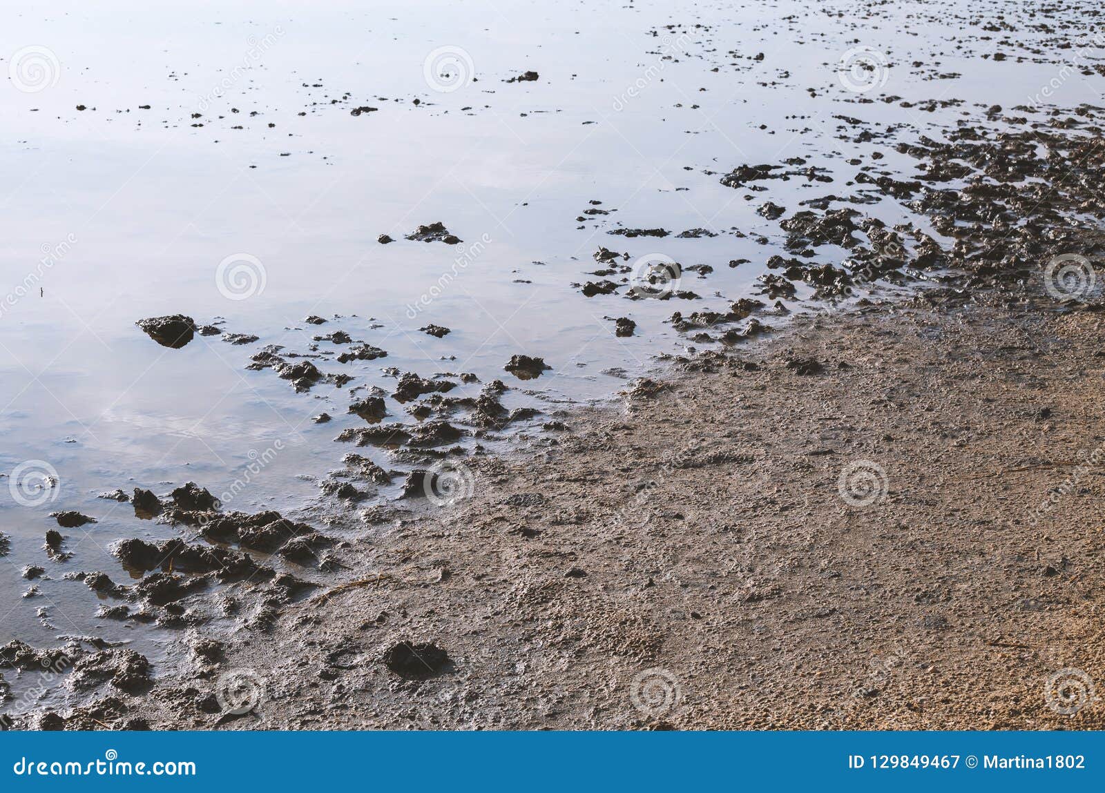 Natural mud texture stock image. Image of contaminated - 129849467
