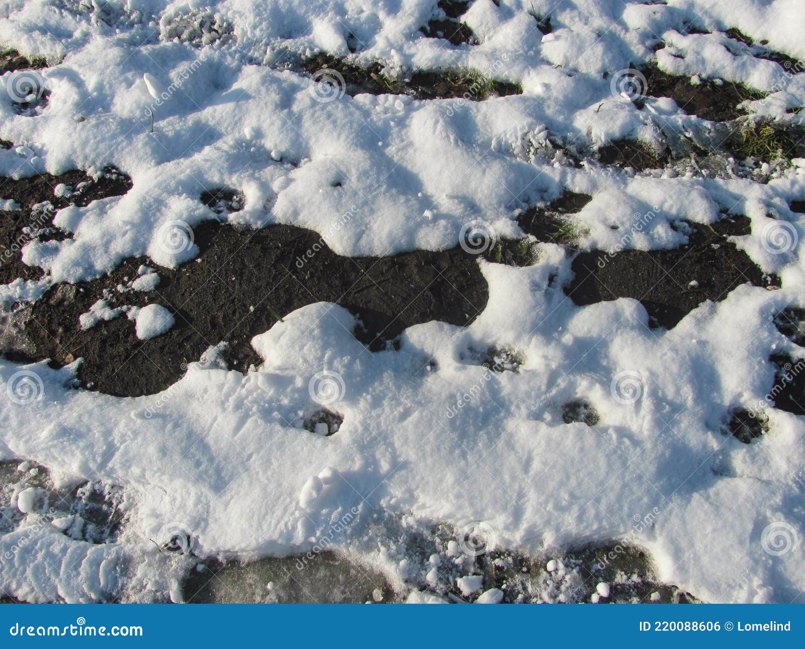Muddy spring melting snow stock photo. Image of nature - 220088606