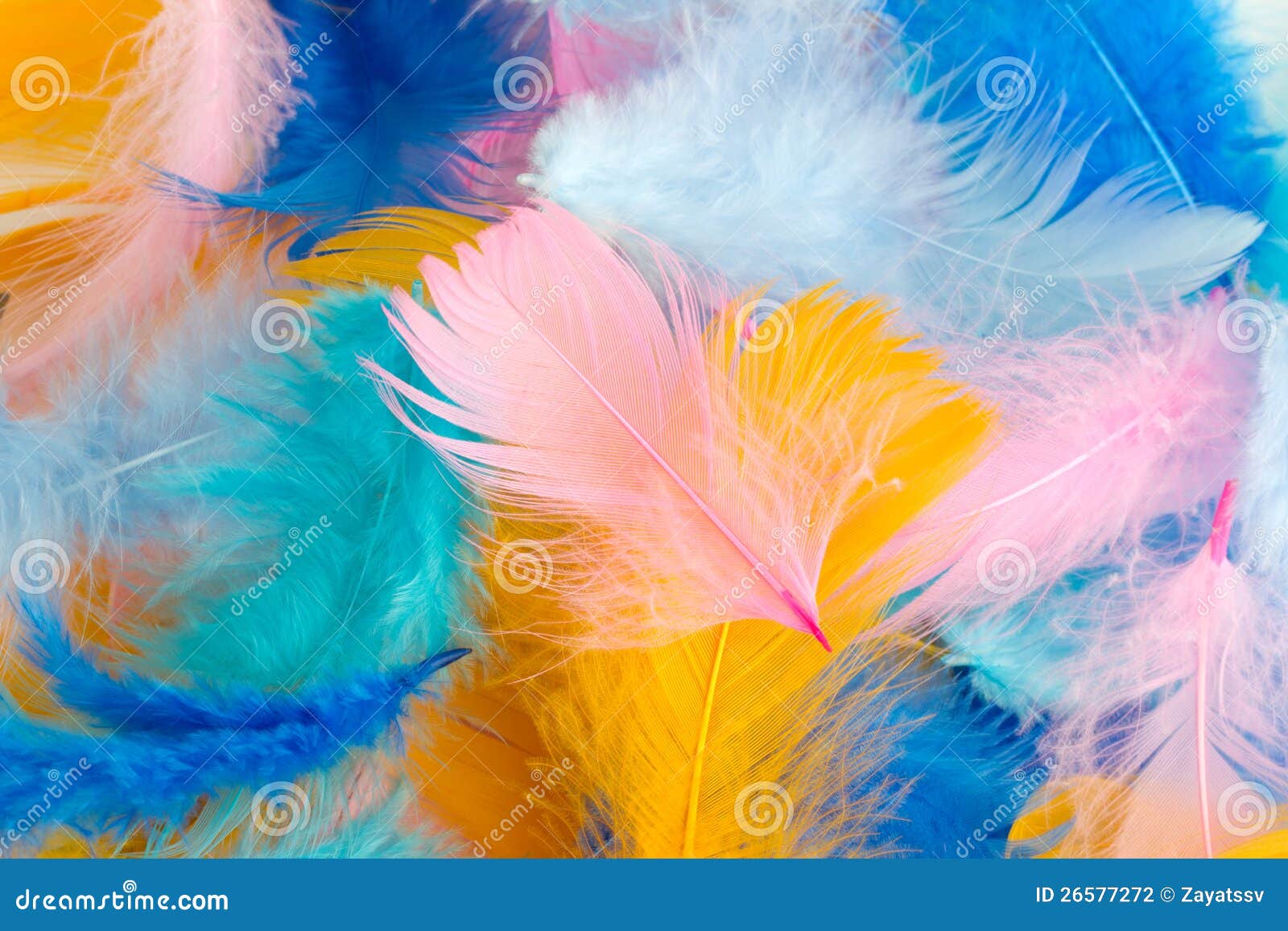 Background of Multi-colored Feathers Stock Photo - Image of nice, blue ...