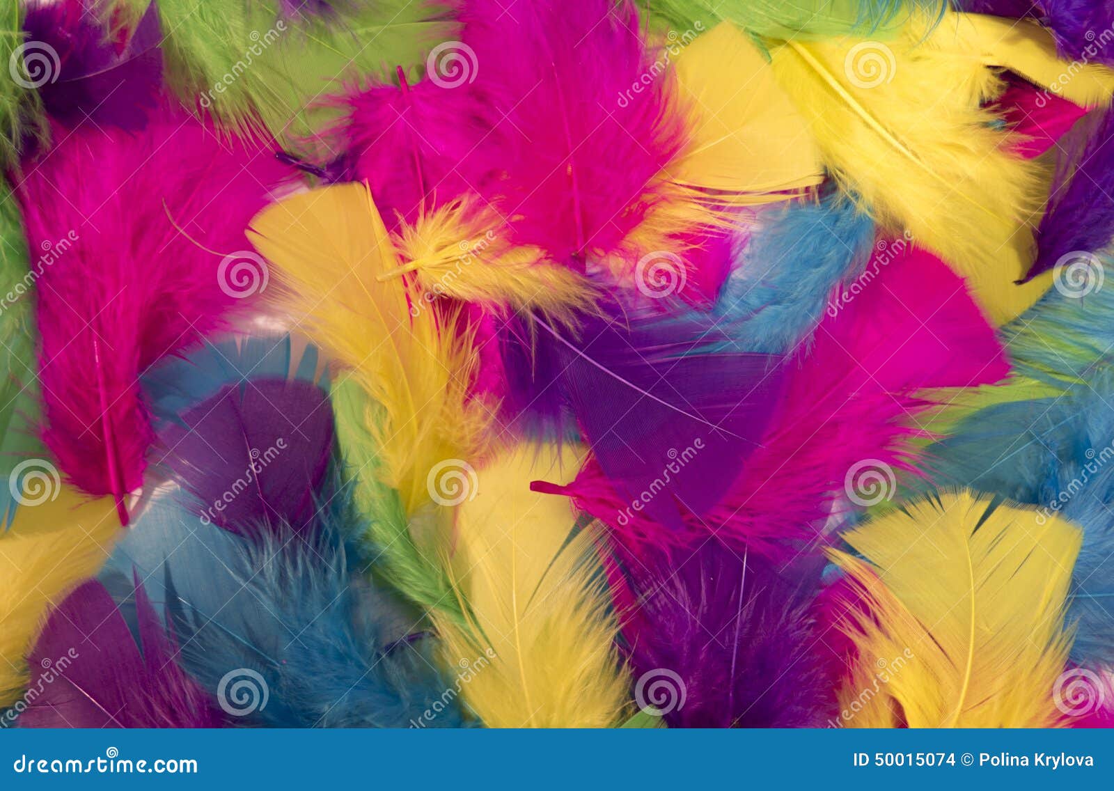 24,142 Jolly Background Photos - Free & Royalty-Free Stock Photos from ...