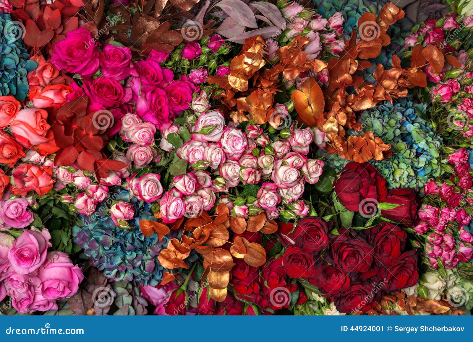 Background Multi-colored Roses Stock Image - Image of gift, flower ...