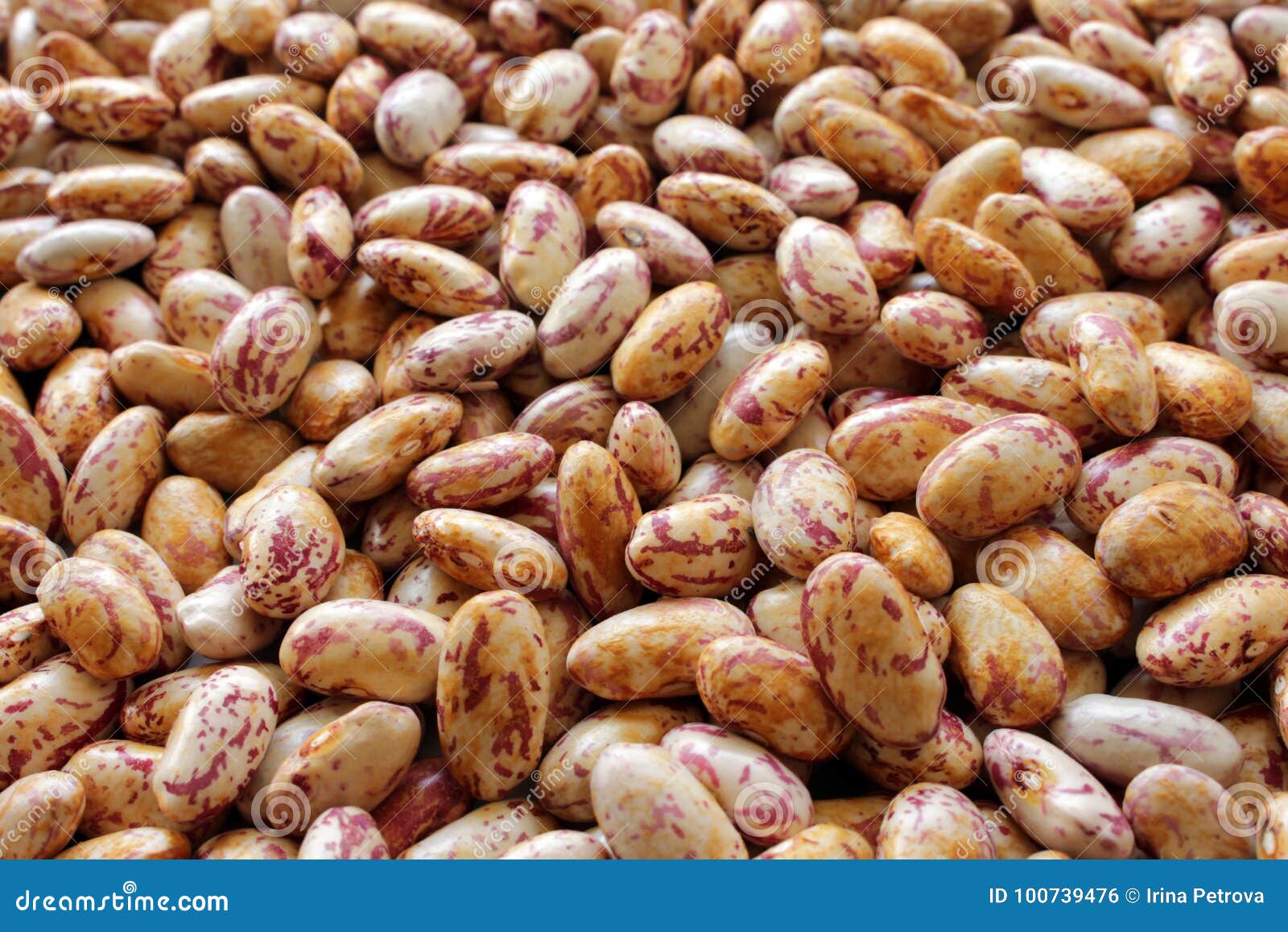 The Bean Seeds As Background Stock Photo - Image of bean, group: 100739476