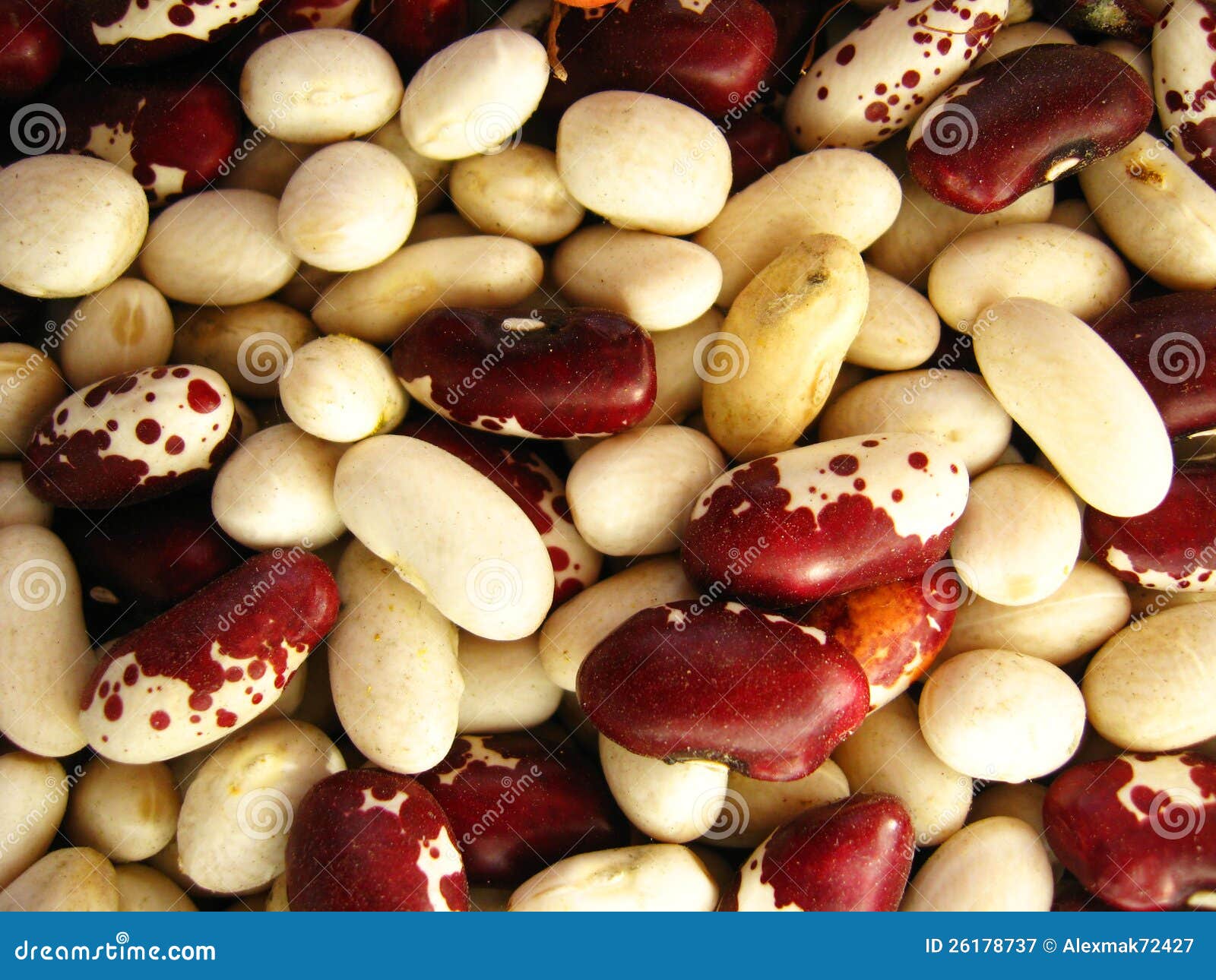 Background from Multi-coloured String Haricot Stock Image - Image of ...