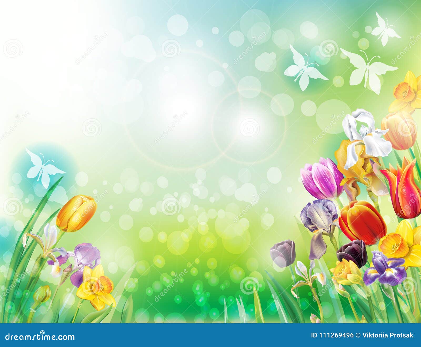 Background with Multicolor Spring Flowers Stock Vector - Illustration ...