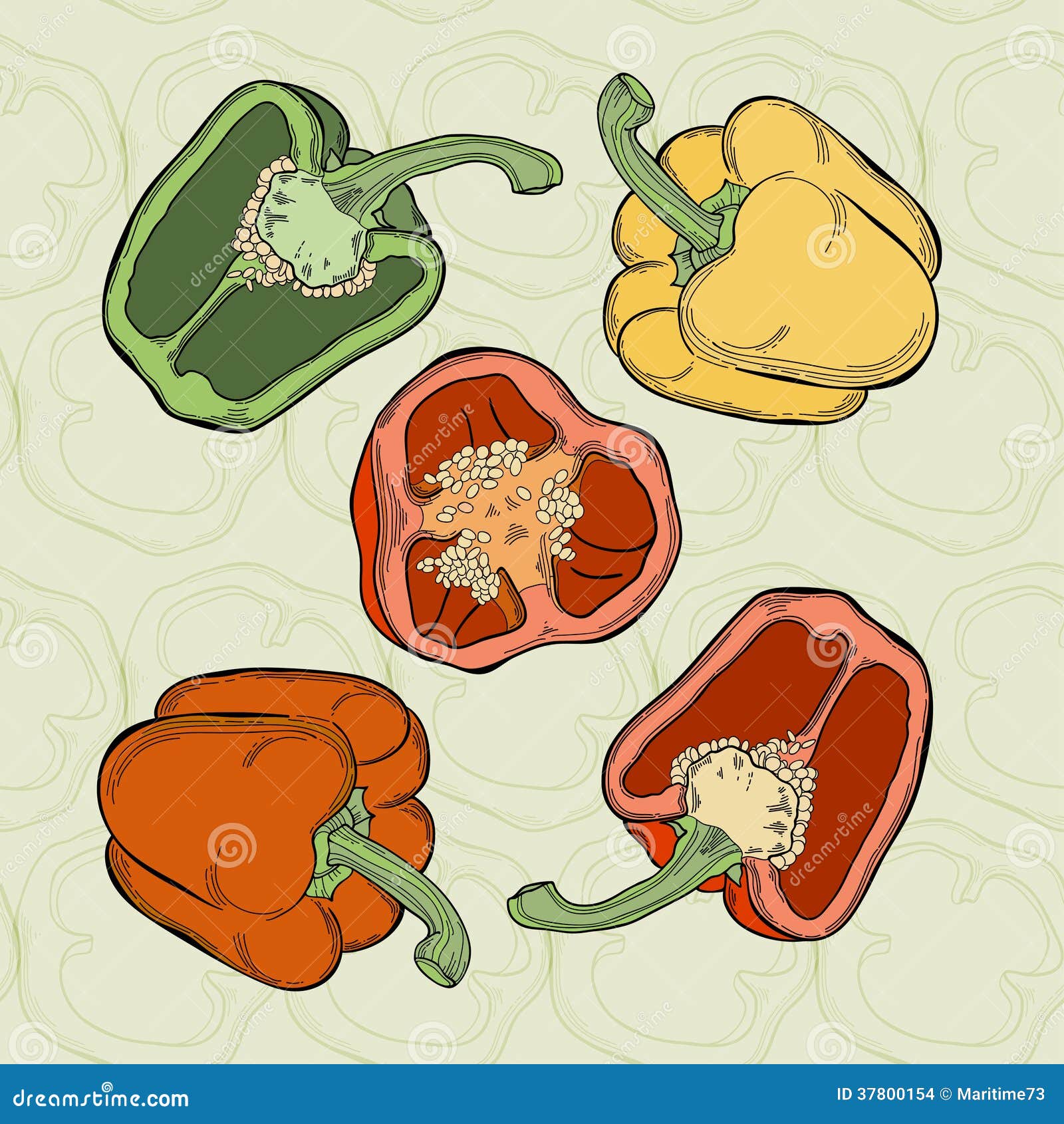 Background from Multicolored Paprika. Vector Illustration. Stock ...