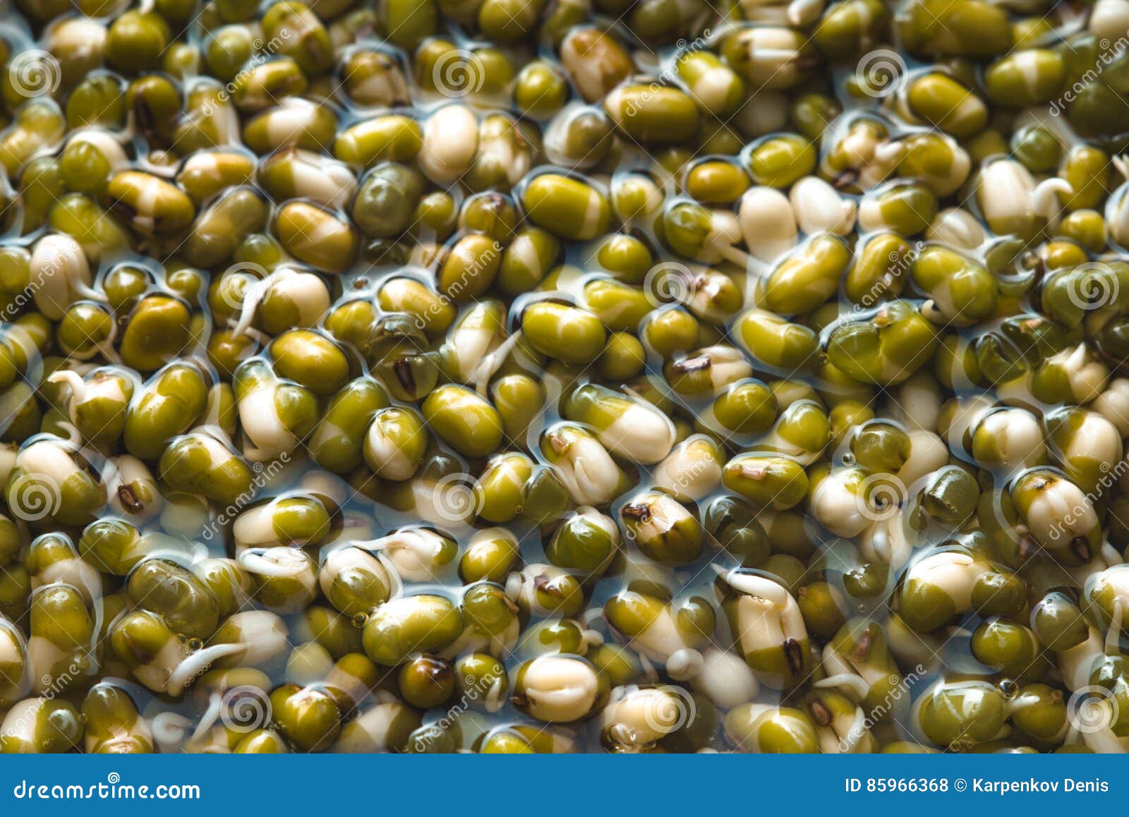 Background from Mung Beans Poured Water Stock Photo - Image of nature ...