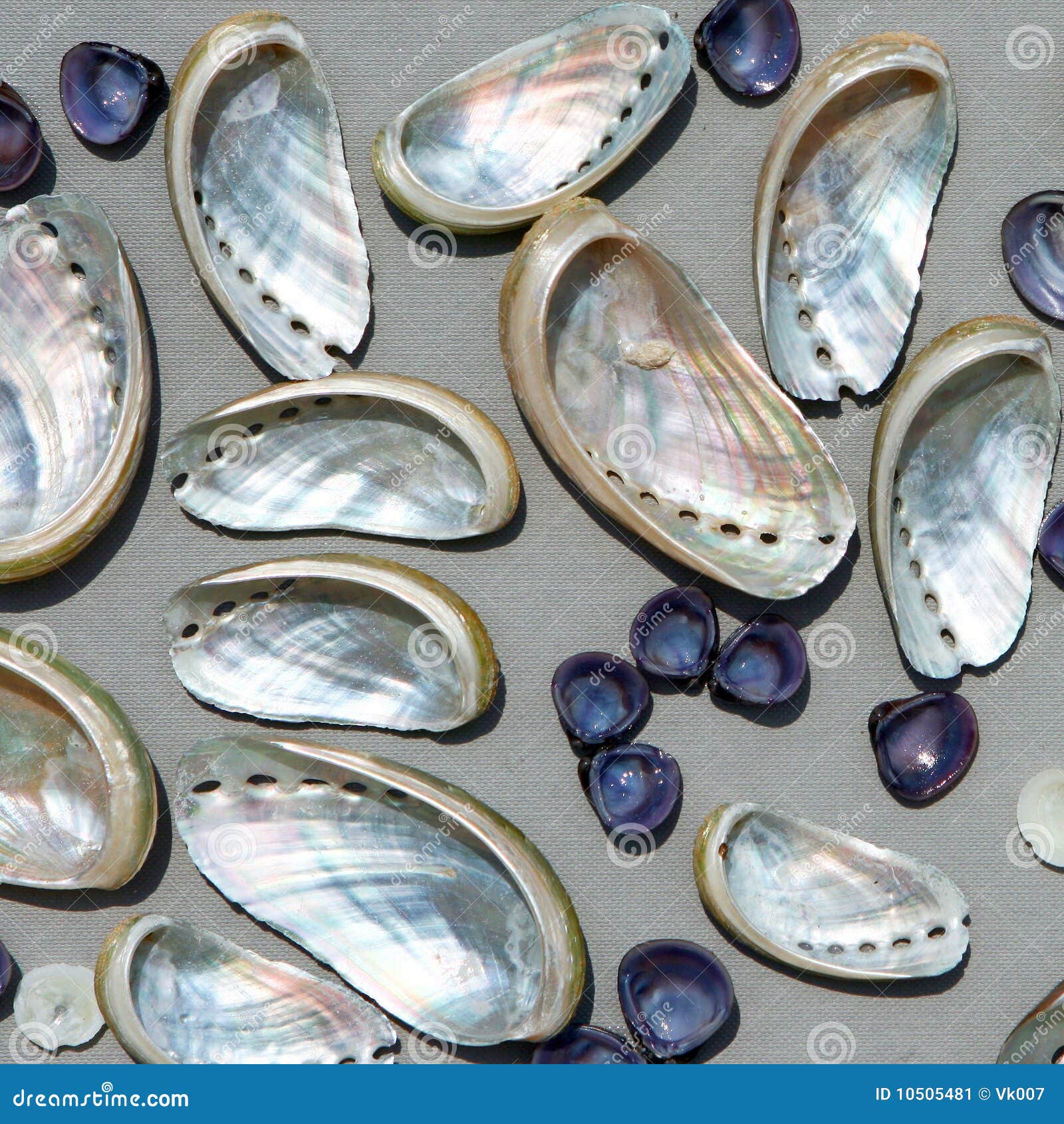 Background With Nacre Seashells Stock Image - Image: 10505481