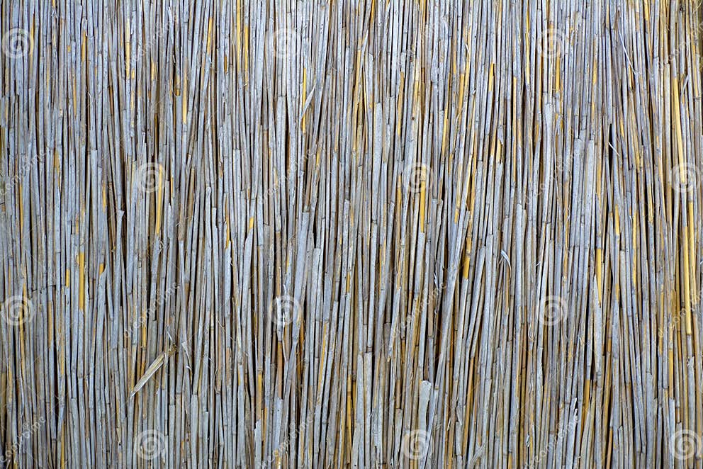 Texture of a Wall from a Thin Reed Stock Image - Image of design, reed ...
