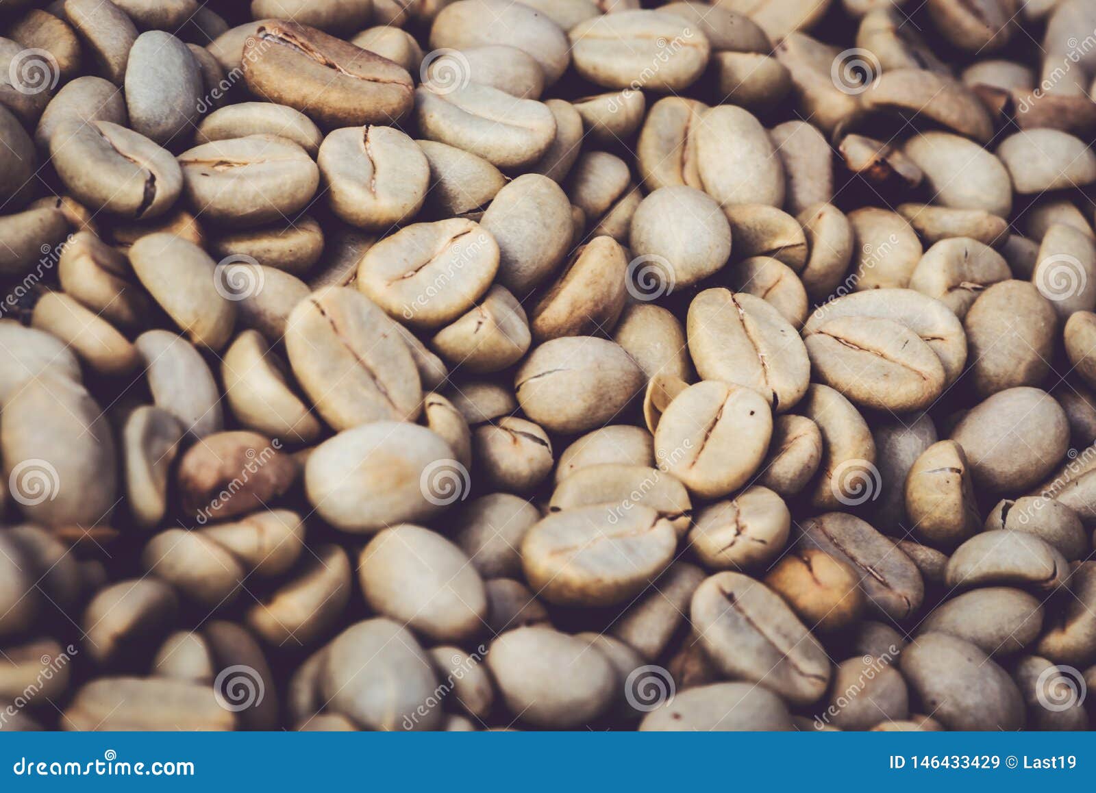 Background Natural Dried Beans, Coffee Bean Stock Image - Image of seed ...
